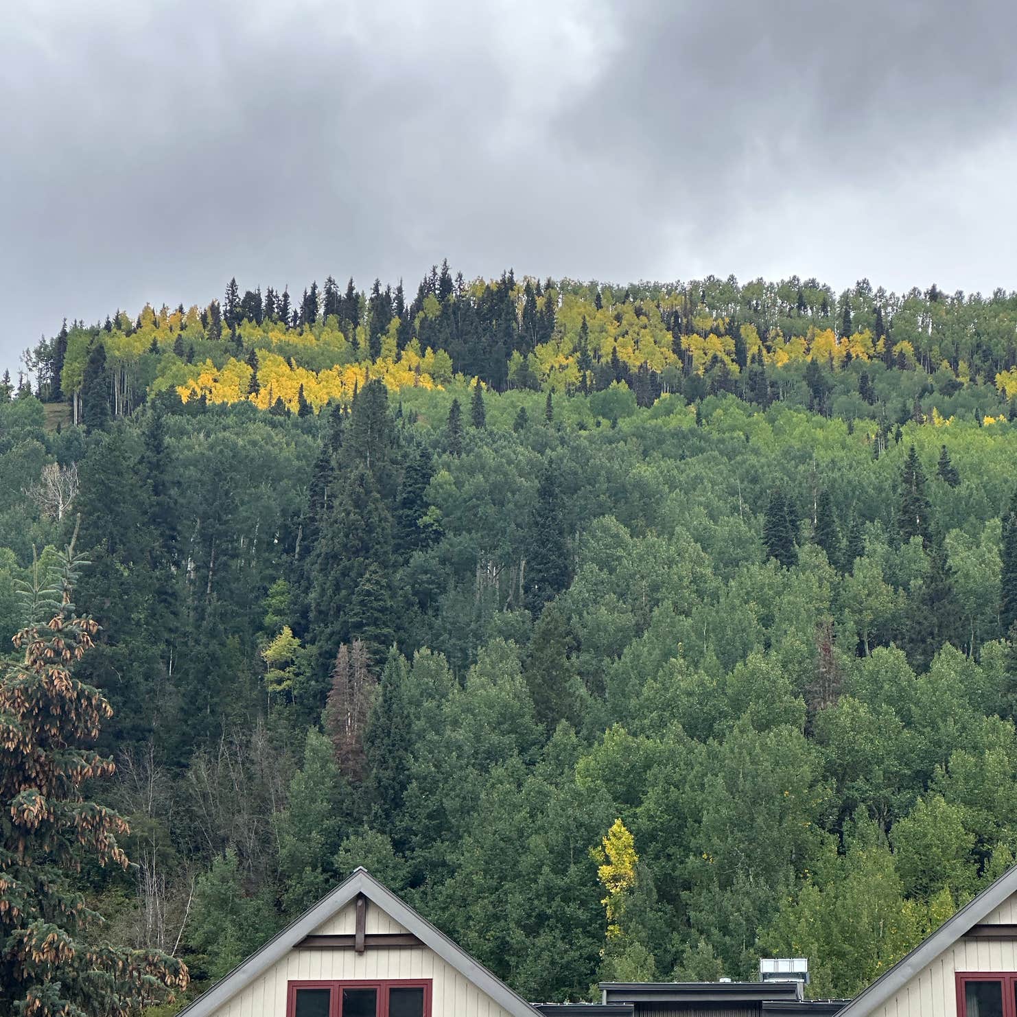Ouray Riverside Resort Camping | Ouray, Colorado