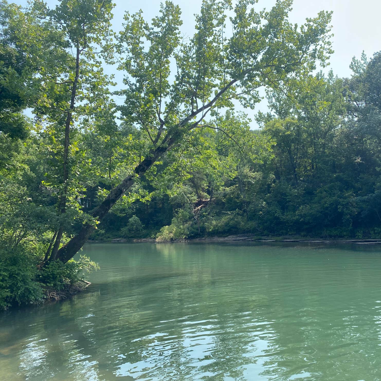 Redding Campground | Ozark, AR