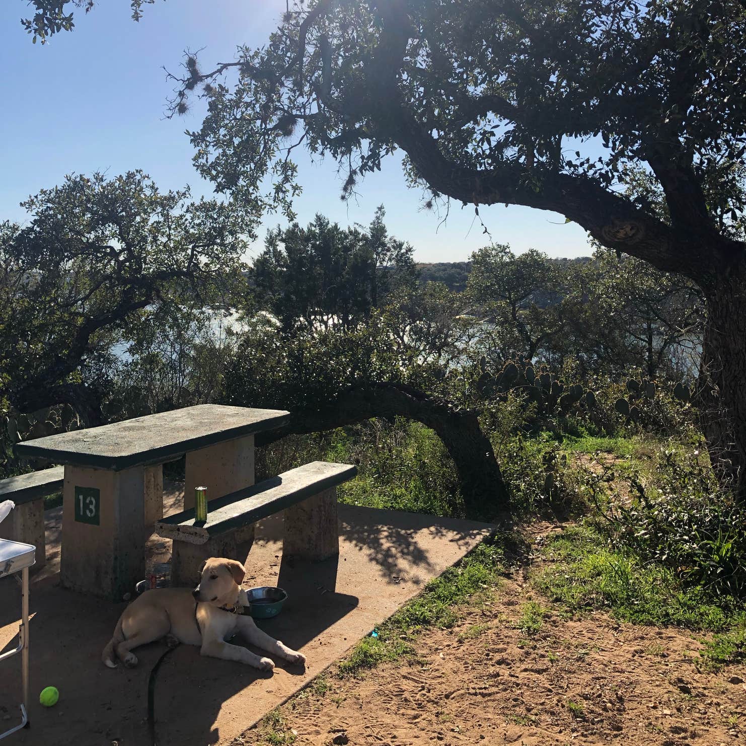 Pace Bend Park - Lake Travis Camping | Lago Vista, Texas