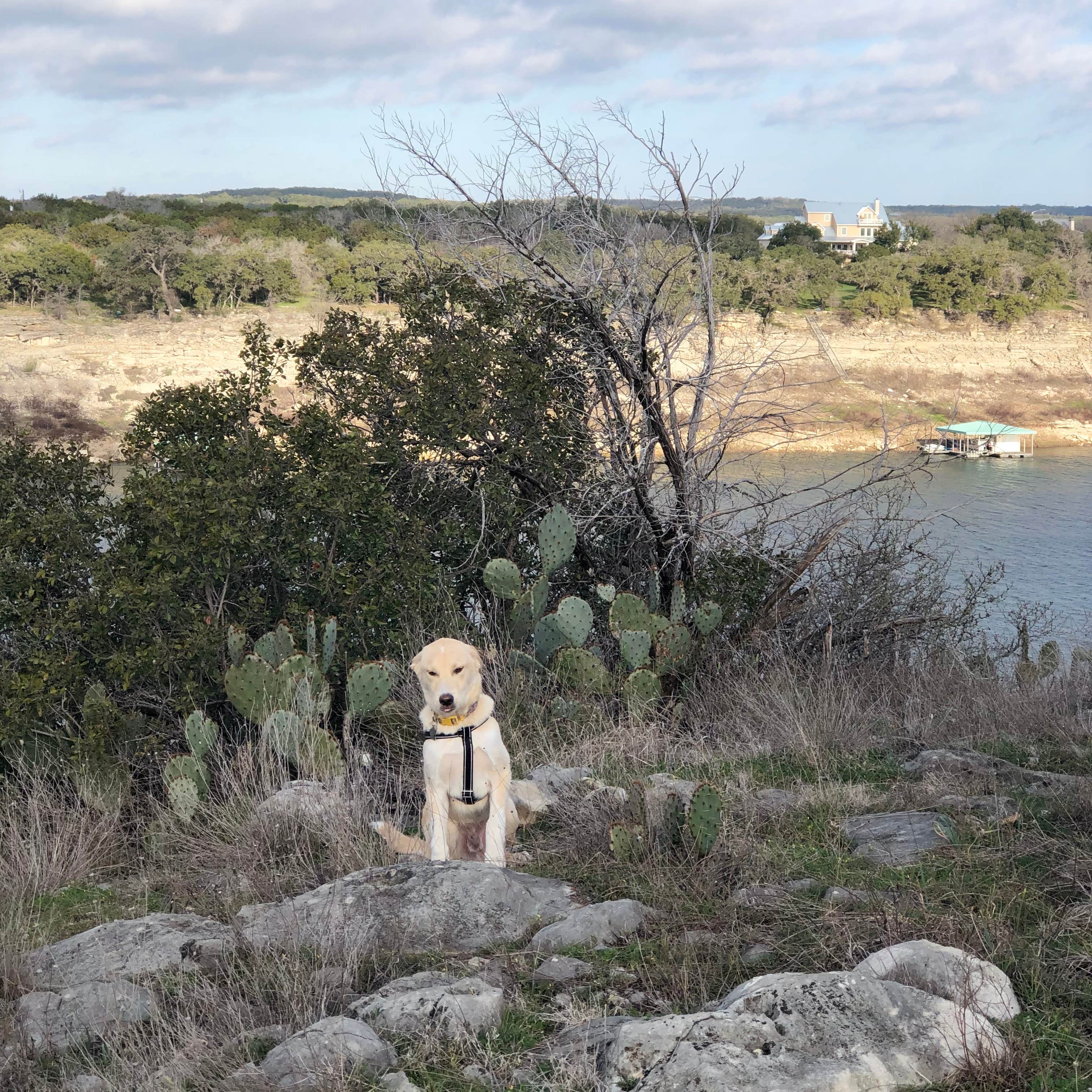 Pace Bend Park - Lake Travis Camping | Lago Vista, Texas