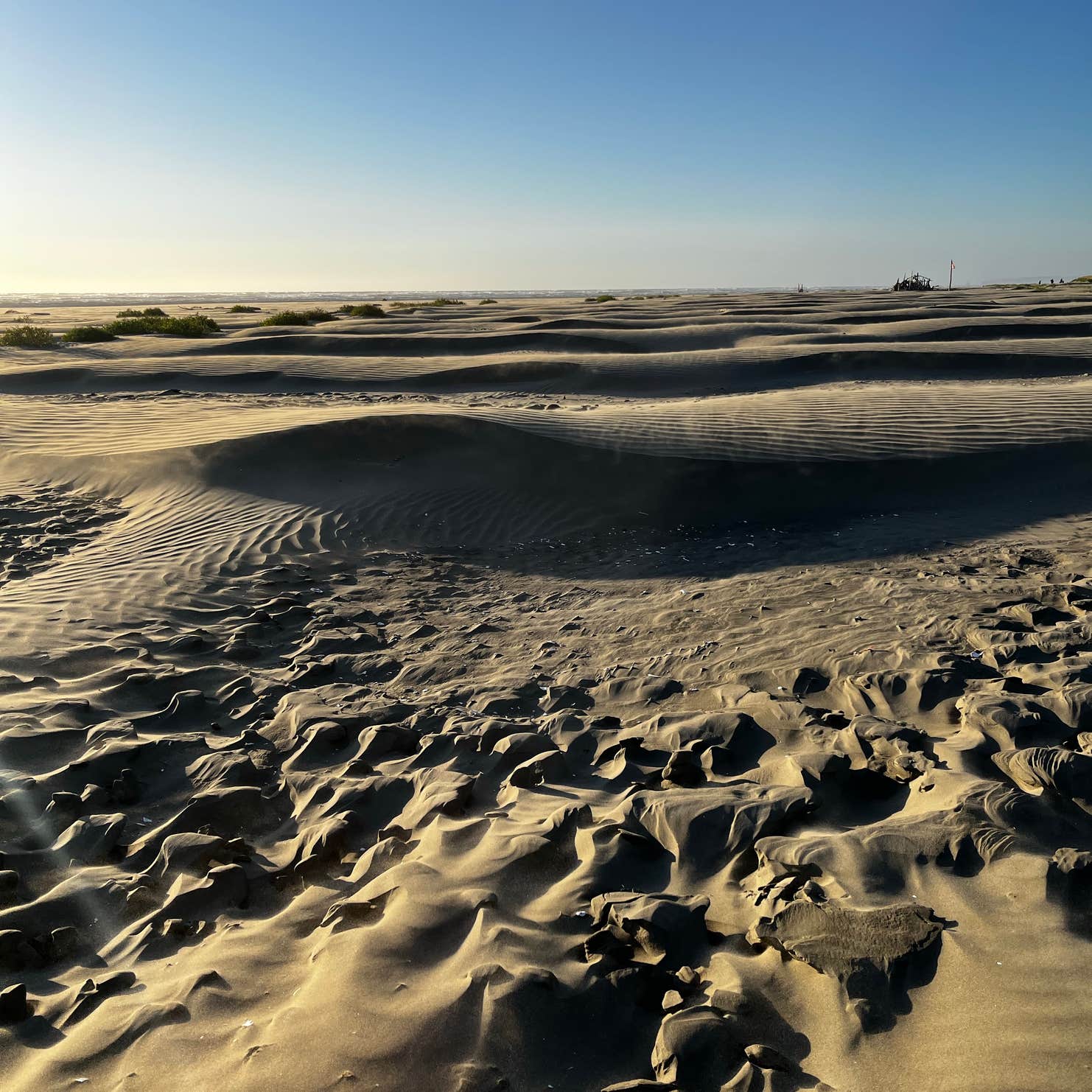 Pacific Beach State Park Campground | Pacific Beach, Washington