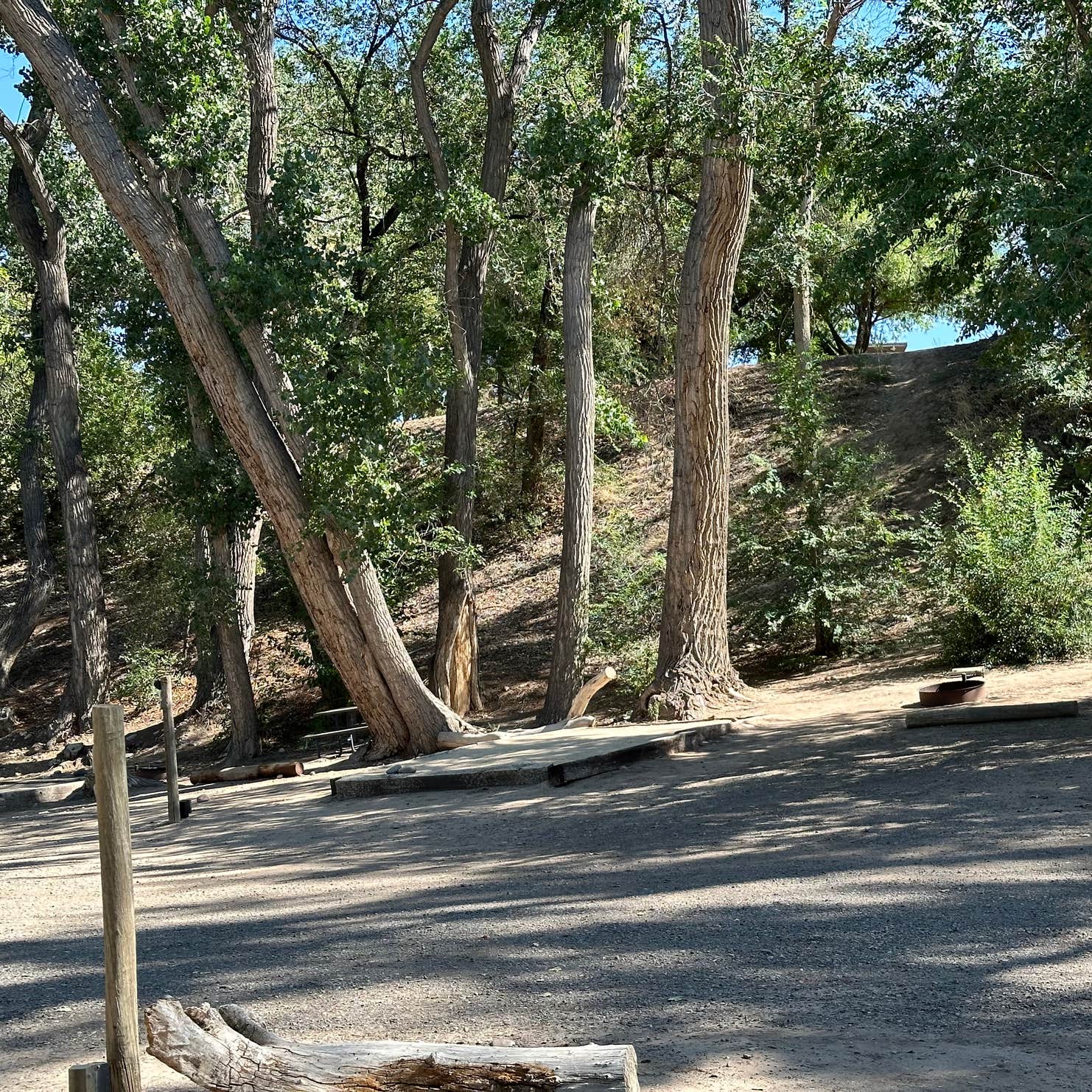 Palisade Basecamp RV Resort | Palisade, Colorado