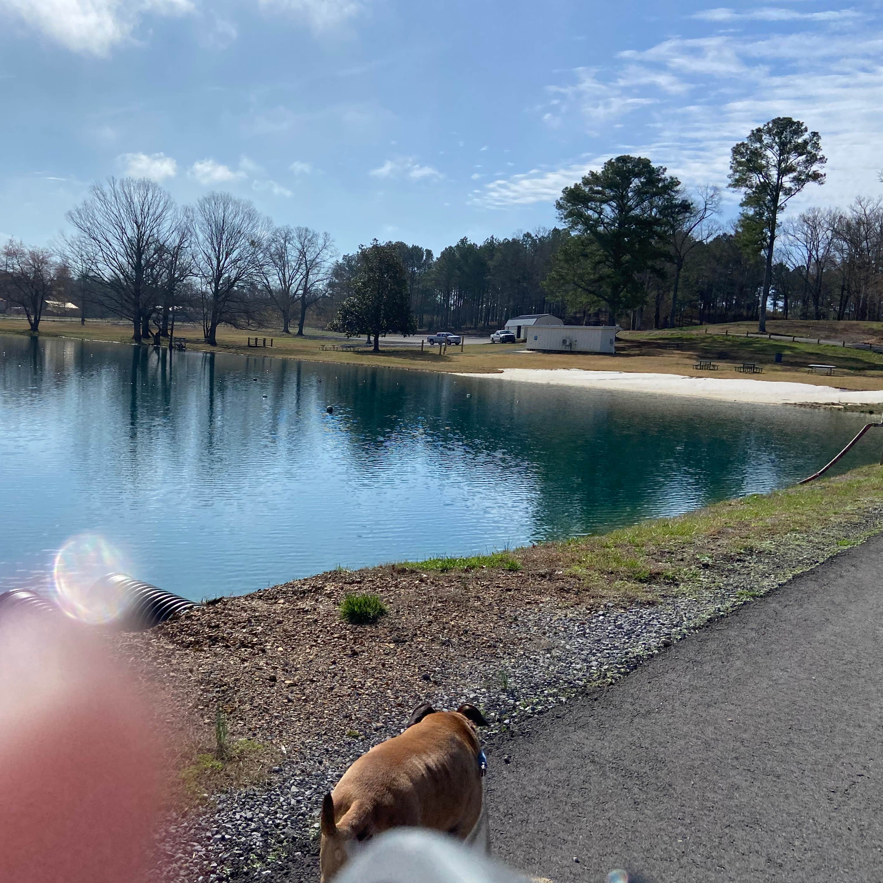 Palomino RV Resort | Cullman, AL
