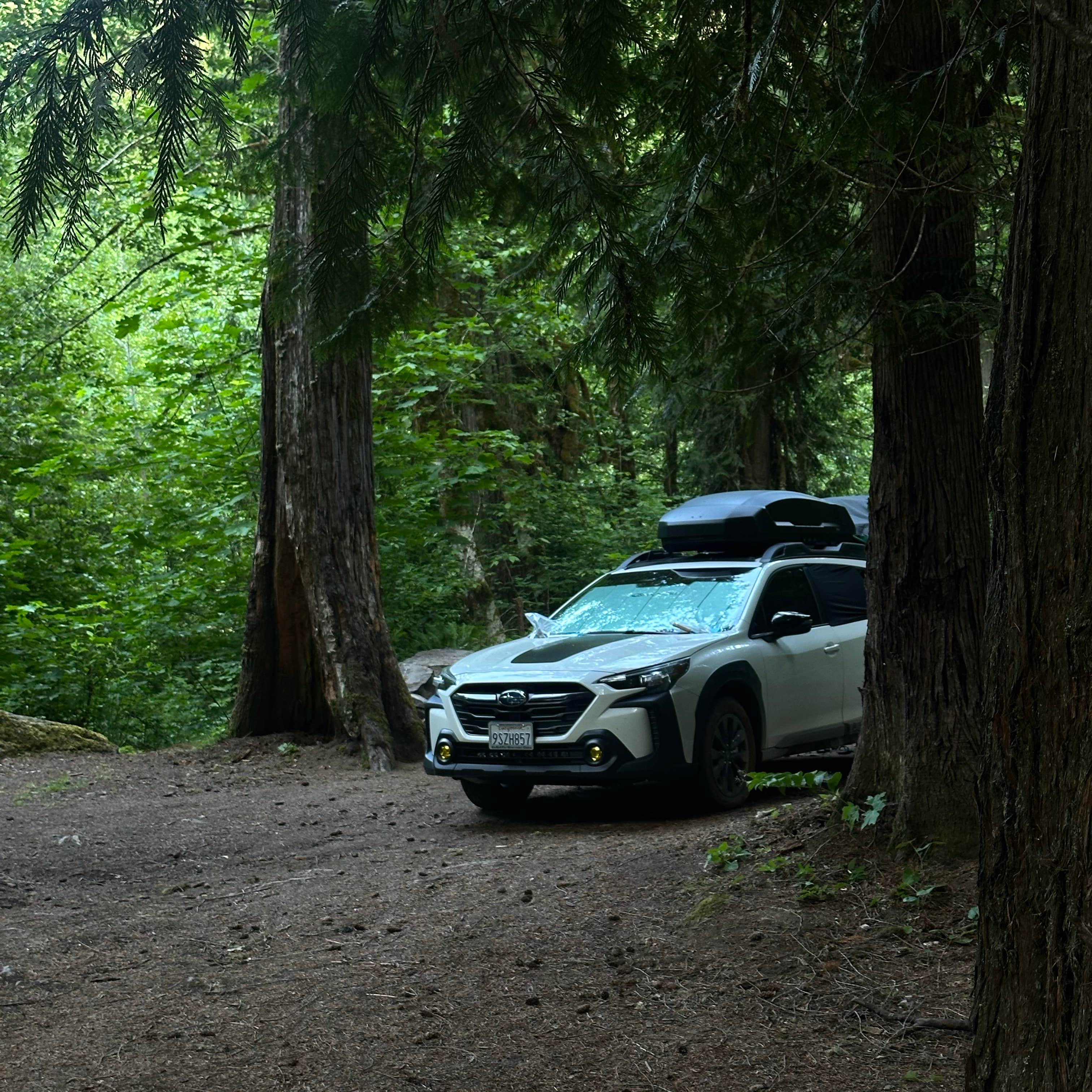 Panther Creek Creekside Camp | Carson, Washington