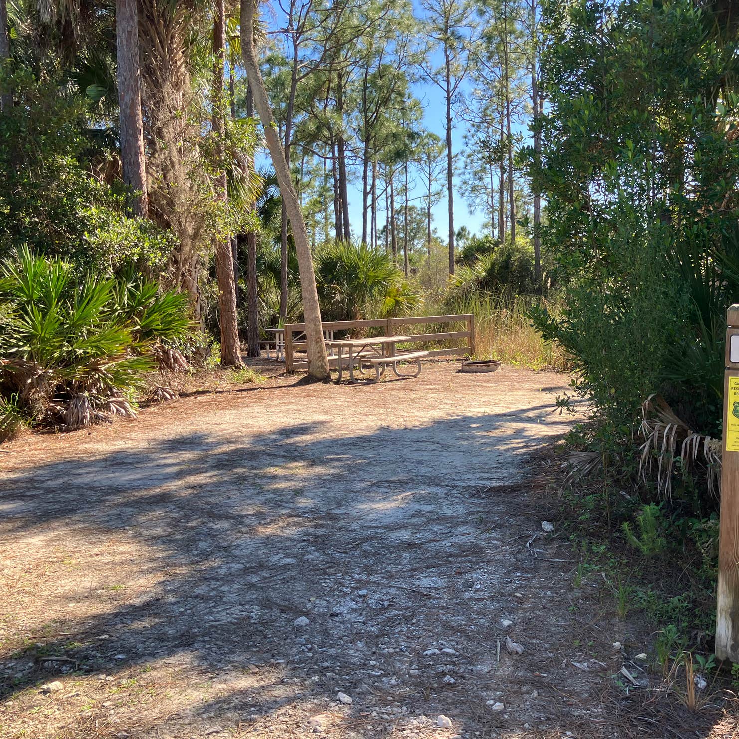 Panther Pond Primitive Campground — Okaloacoochee Slough State Forest ...