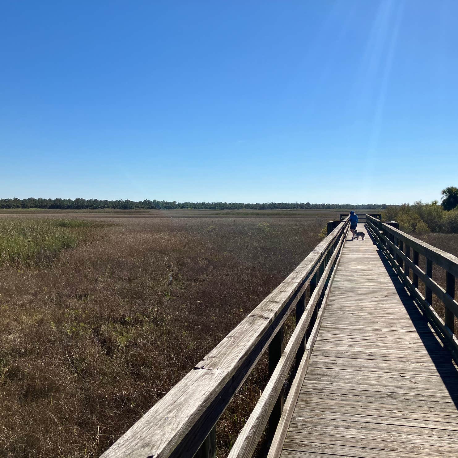 Panther Pond Primitive Campground — Okaloacoochee Slough State Forest ...