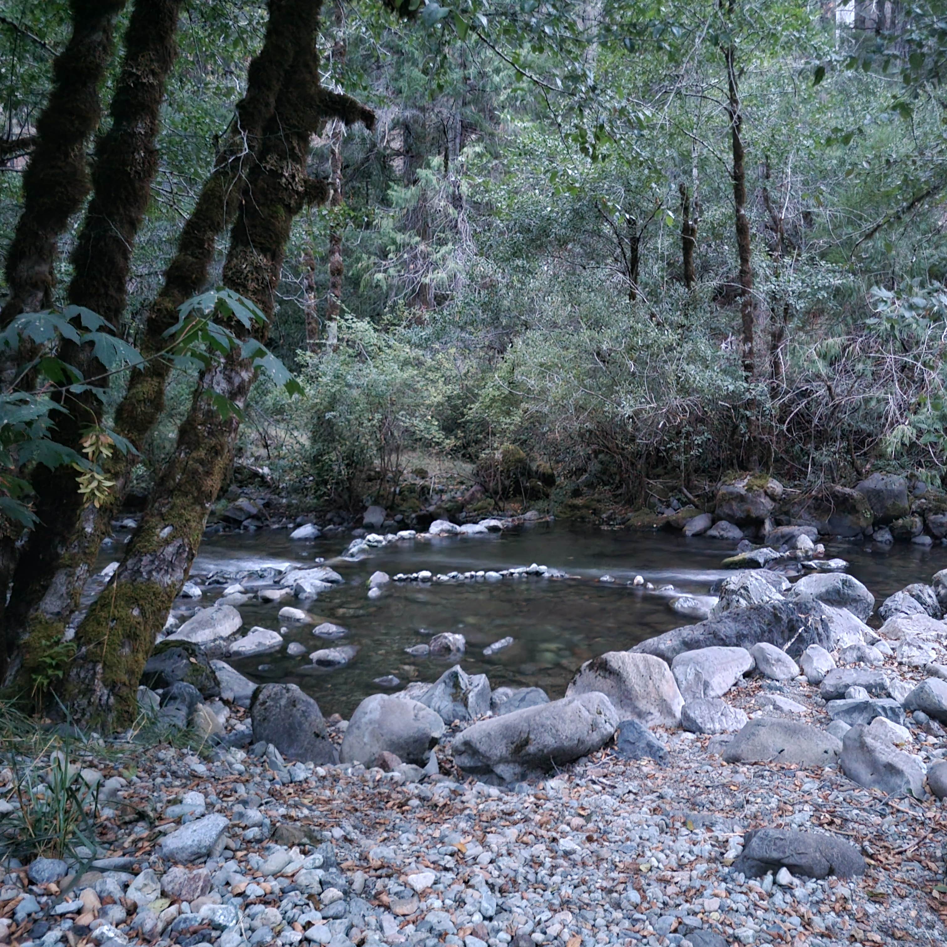 Patrick Creek Dispersed Camping | Gasquet, California