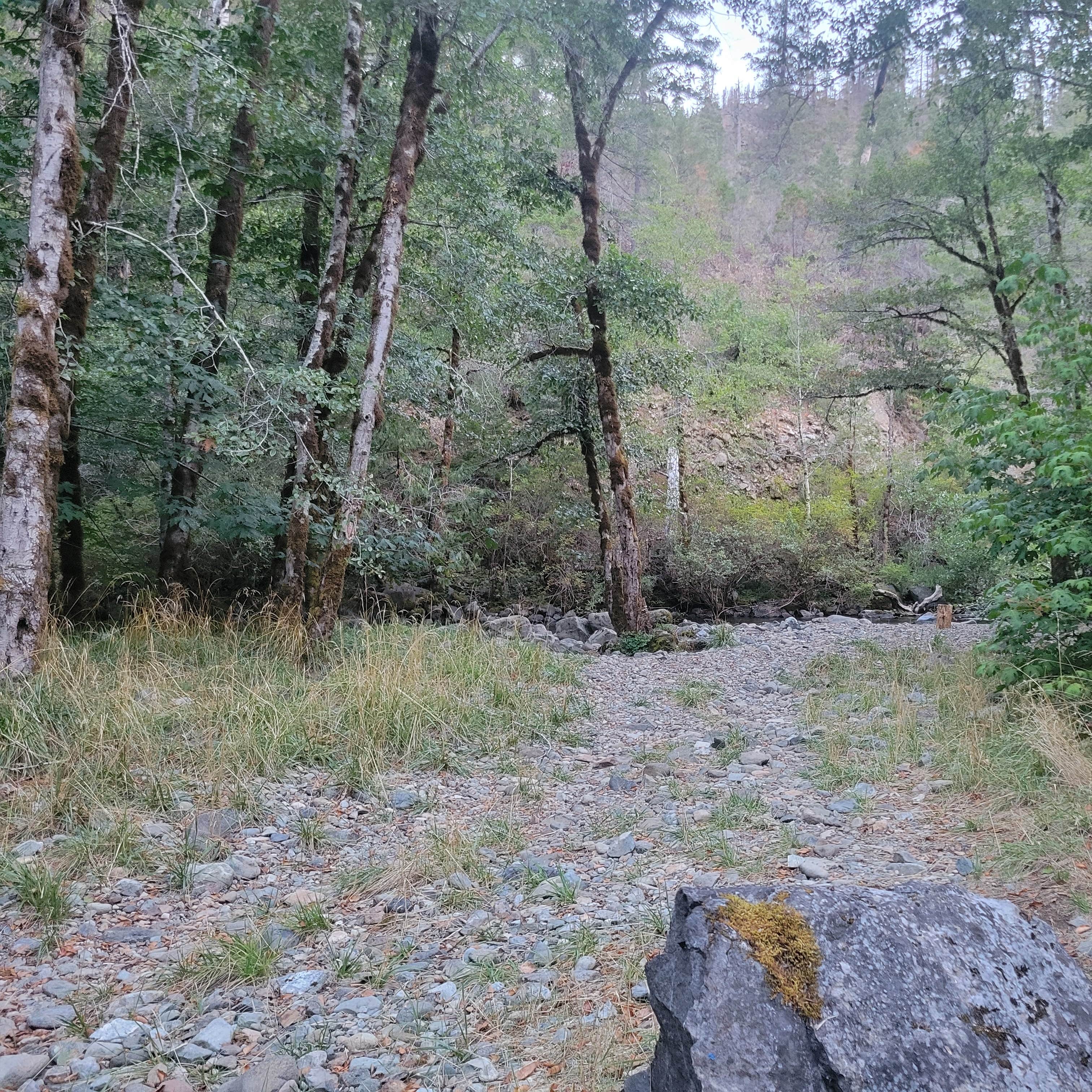 Patrick Creek Dispersed Camping | Gasquet, California
