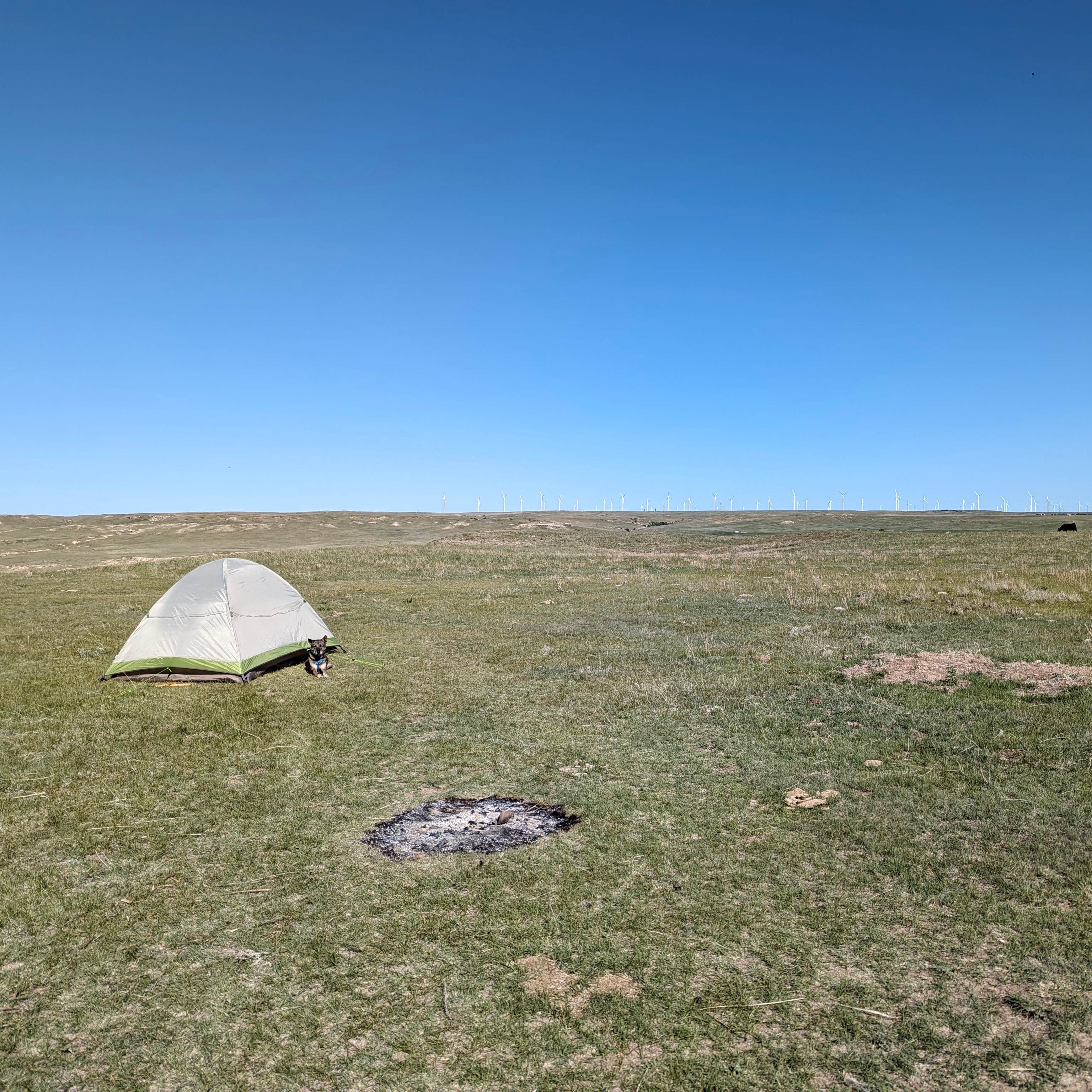 Pawnee Buttes - Dispersed Camping | Grover, CO