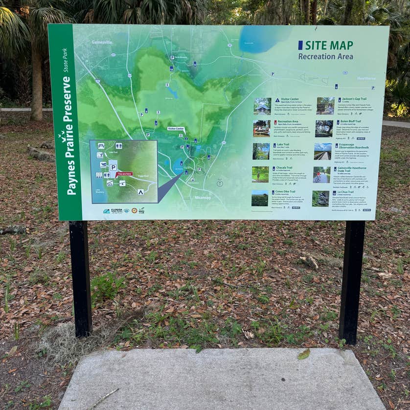 Paynes Prairie Preserve State Park Campground | Micanopy, Florida