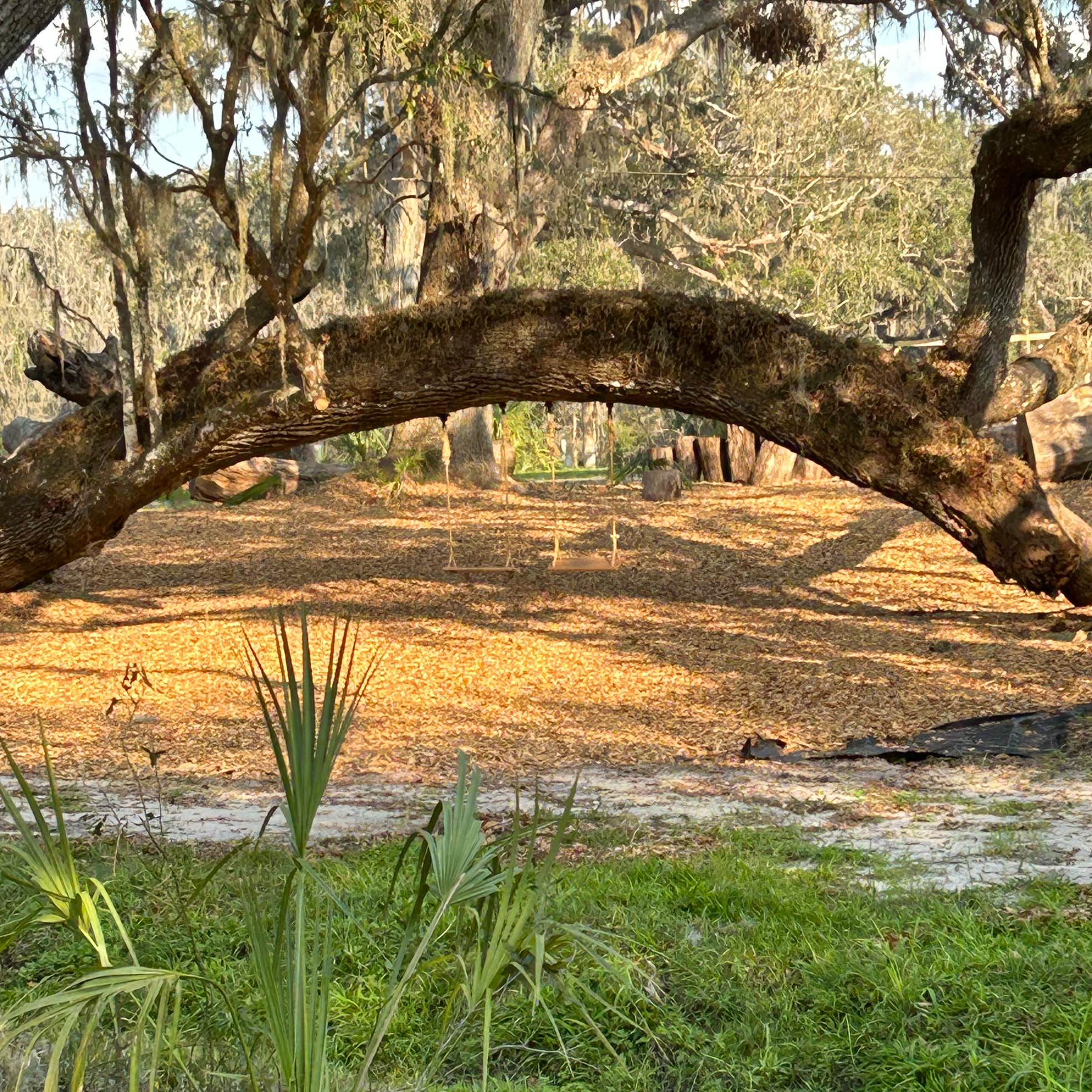 Peace River Oaks Camping | Bowling Green, Florida