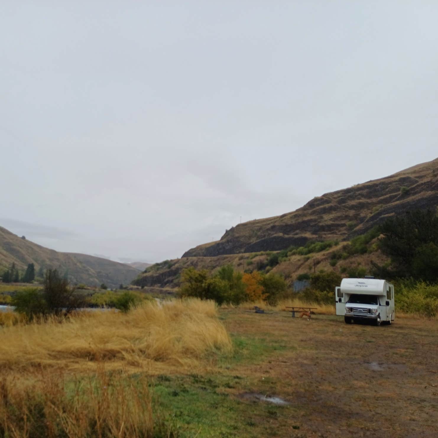 Pealy Loop Recreation Site Dispersed Camping | White Bird, Idaho