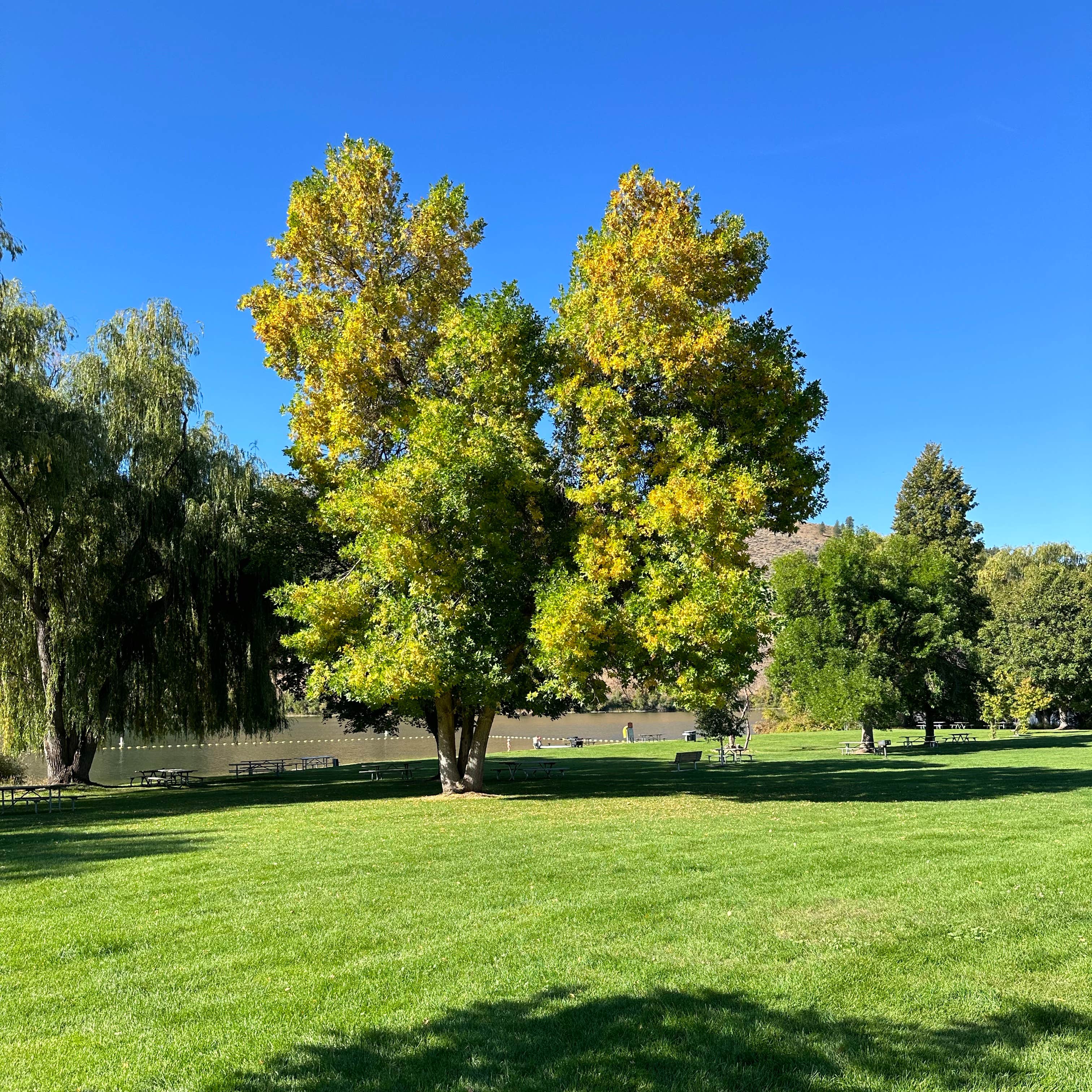 Pearrygin Lake State Park Campground | Winthrop, WA