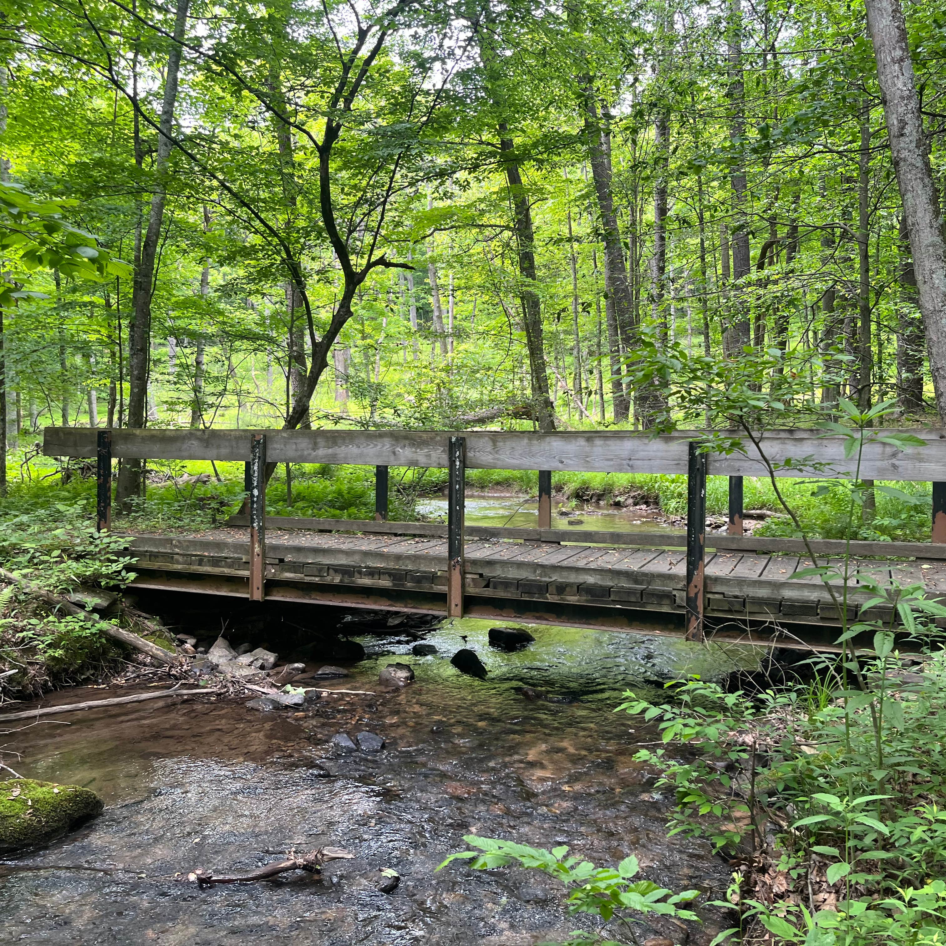 Colonel Denning State Park Campground | Blain, Pennsylvania