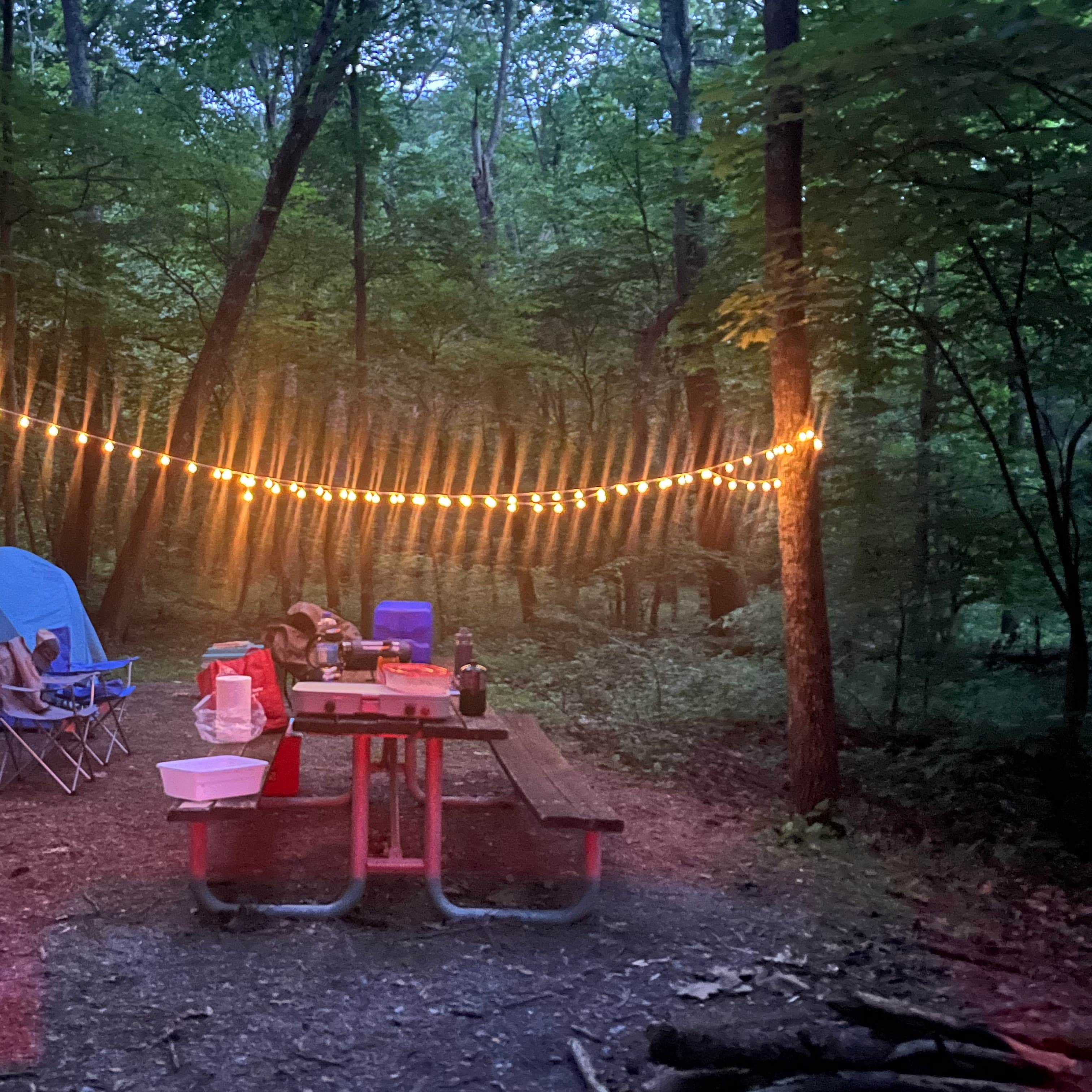 Colonel Denning State Park Campground | Blain, Pennsylvania