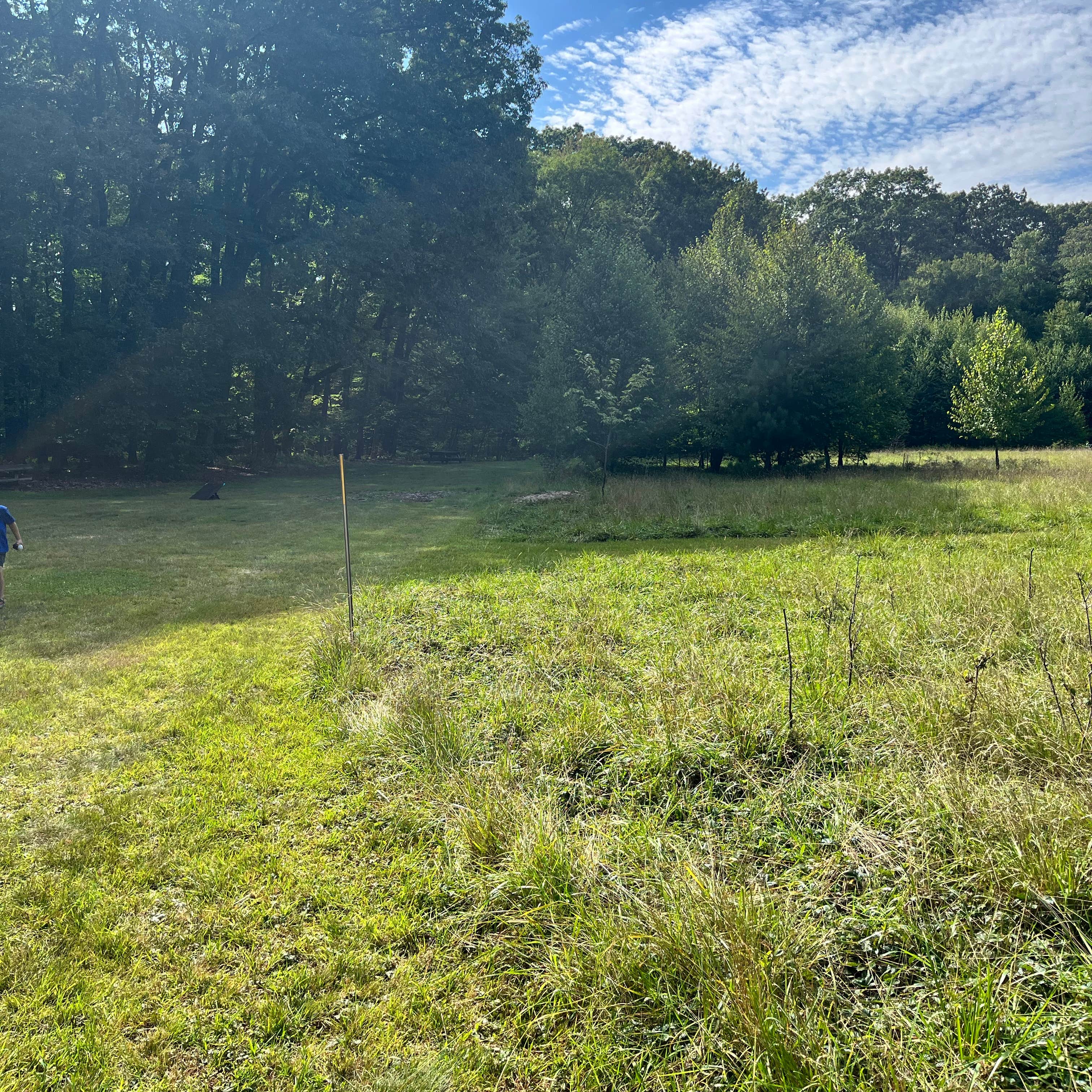 Hearts Content Recreation Area Camping | Tidioute, Pennsylvania