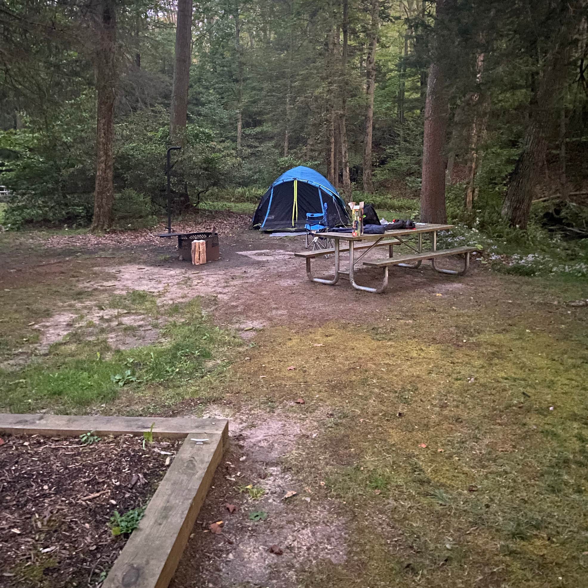 Kooser State Park Campground Jones Mills Pennsylvania