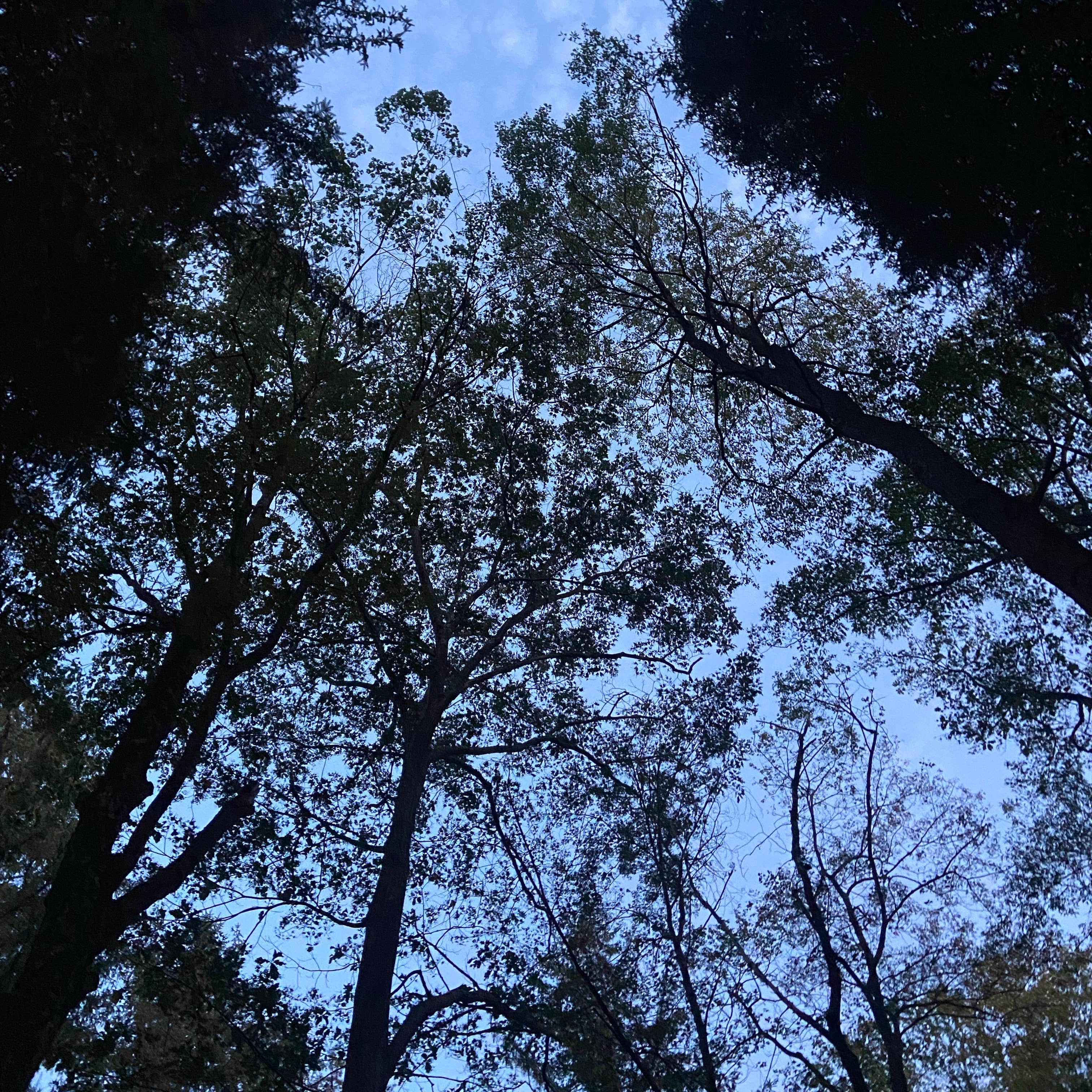 Kooser State Park Campground — Kooser State Park | Somerset, PA