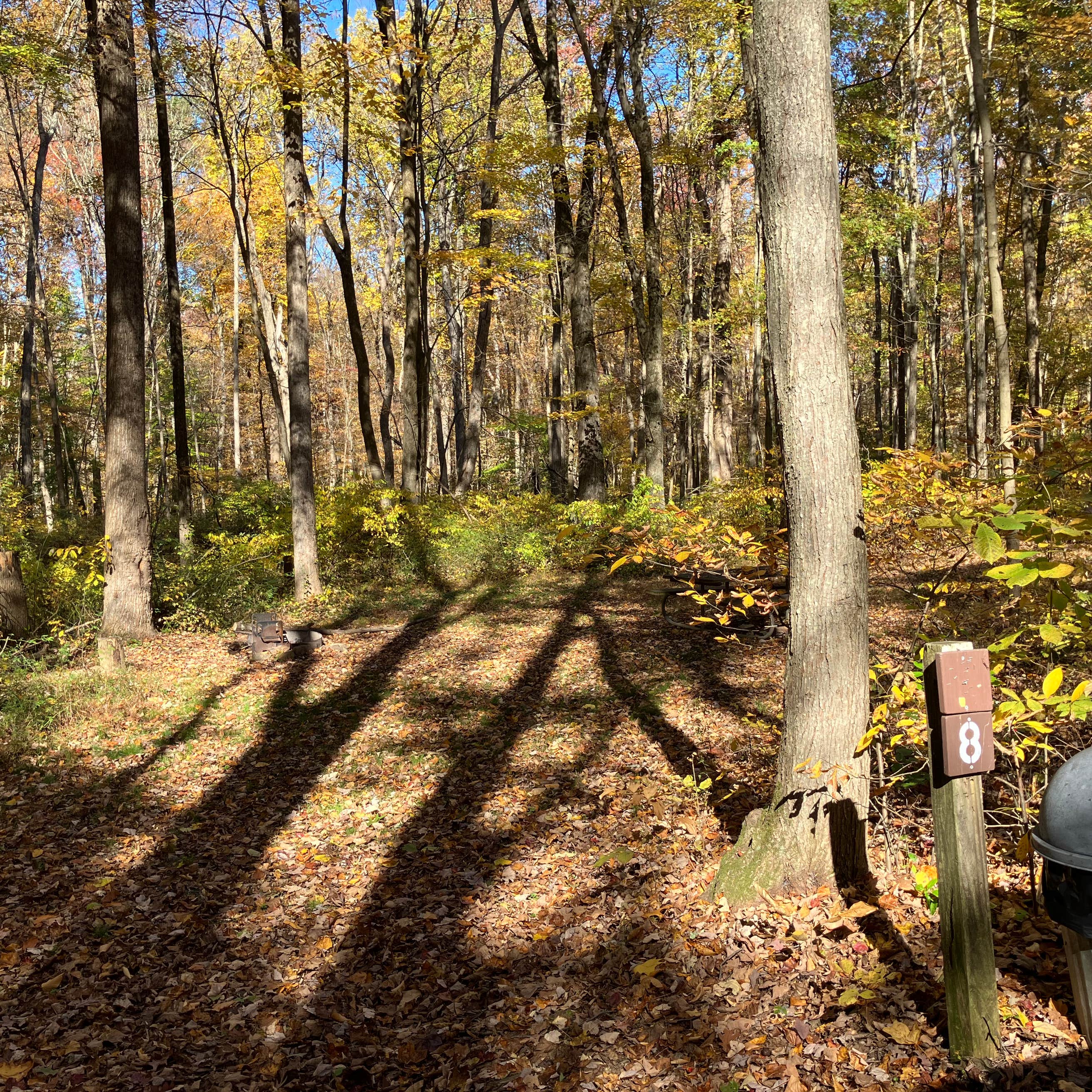 Lake Towhee County Park Camping | Quakertown, PA