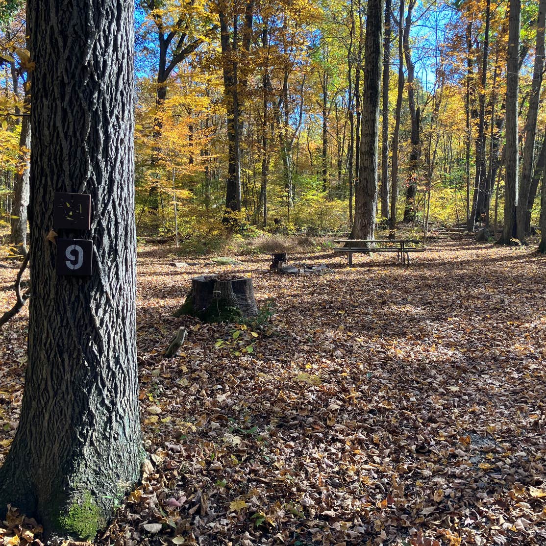 Lake Towhee County Park Camping | Quakertown, PA