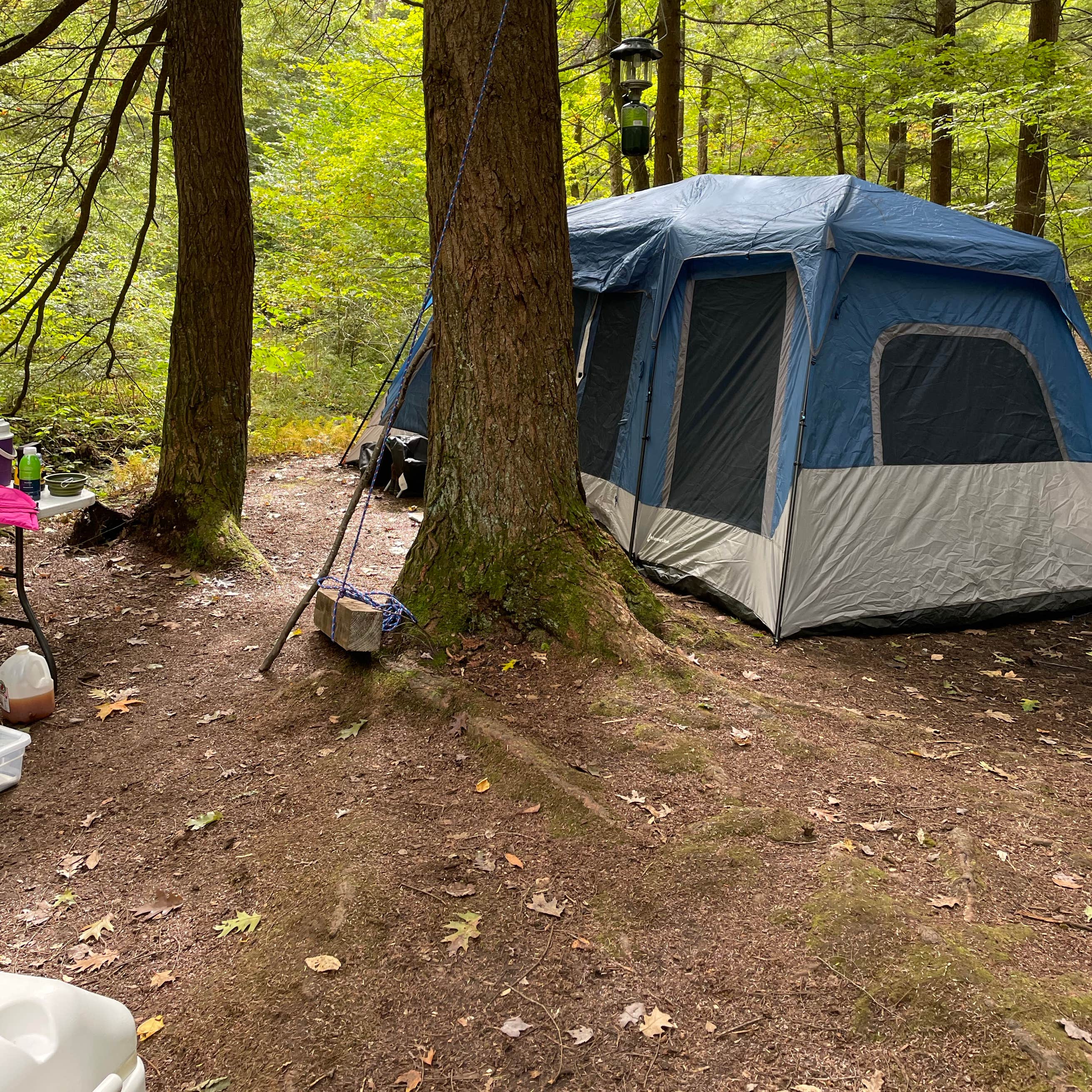 Minister Creek Campground | Sheffield, Pennsylvania