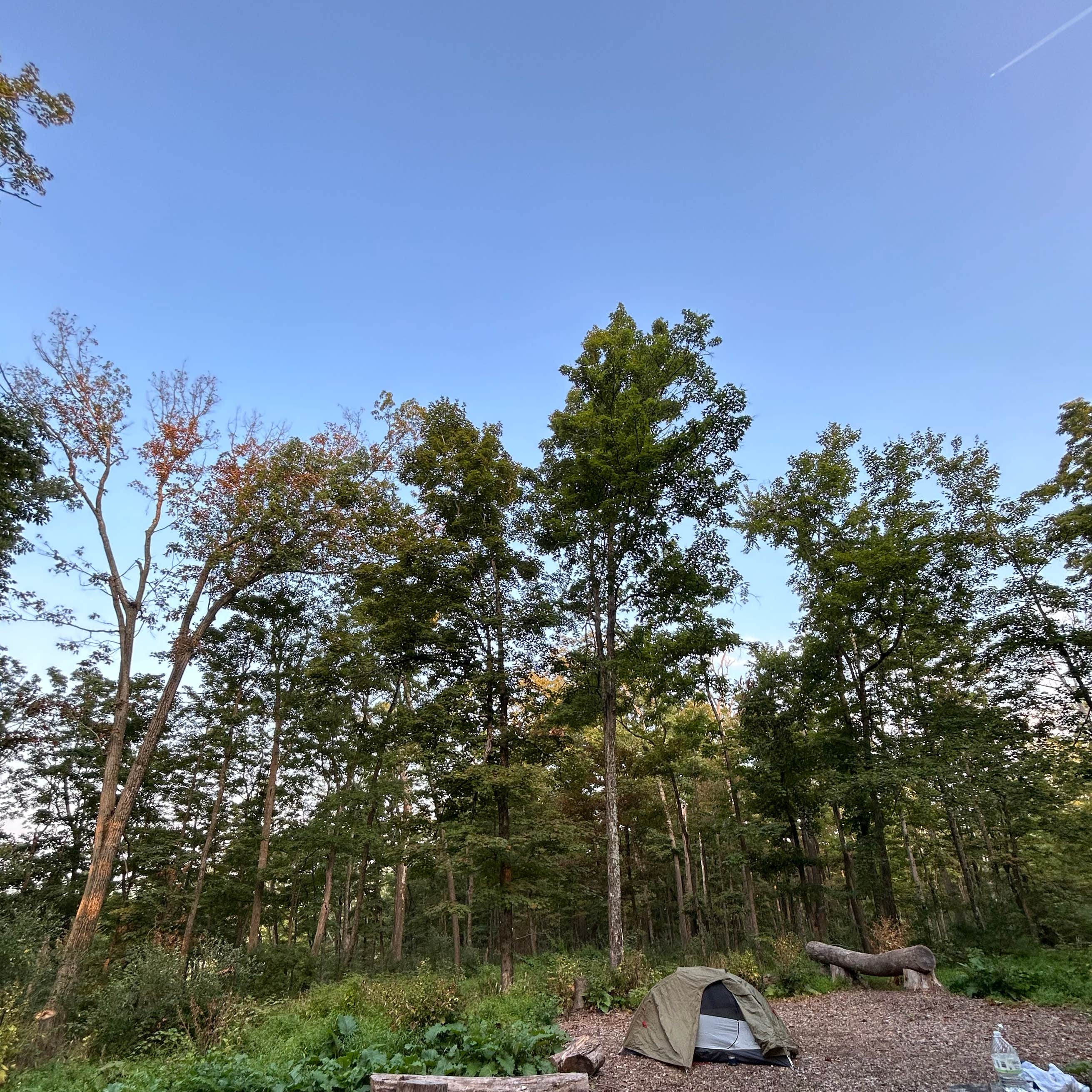 Tohickon Valley County Park Camping | Point Pleasant, Pennsylvania