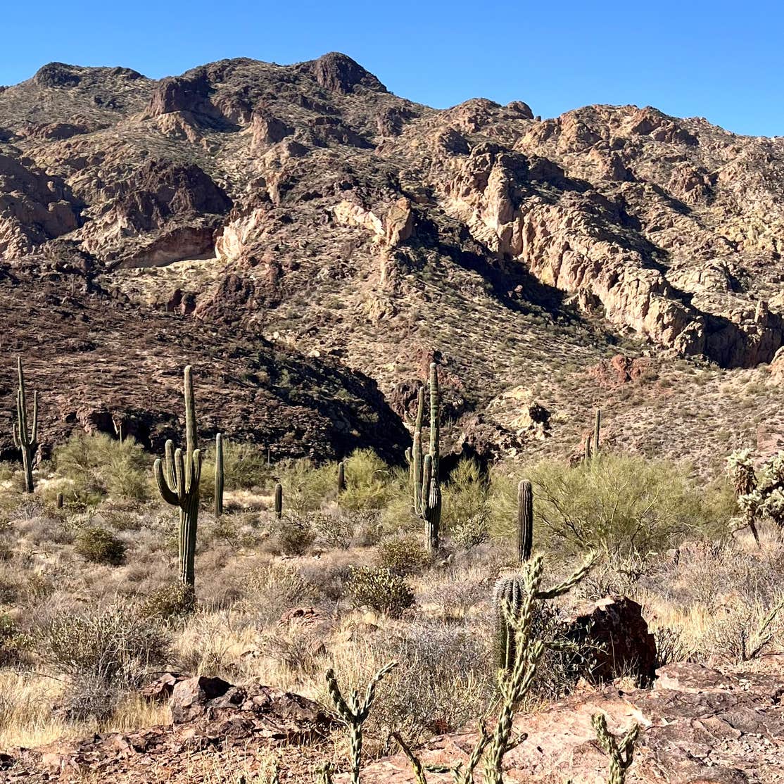 Peralta Regional Park Primitive Remote Campsites | Gold Canyon, Arizona