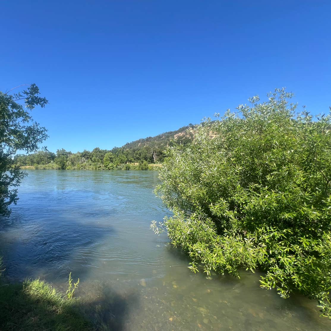 Perry Riffle Trailhead Camping | Red Bluff, California