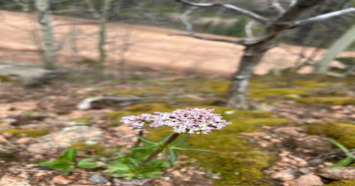 Phantom Canyon Road Pull-Off Camping | Cañon City, CO