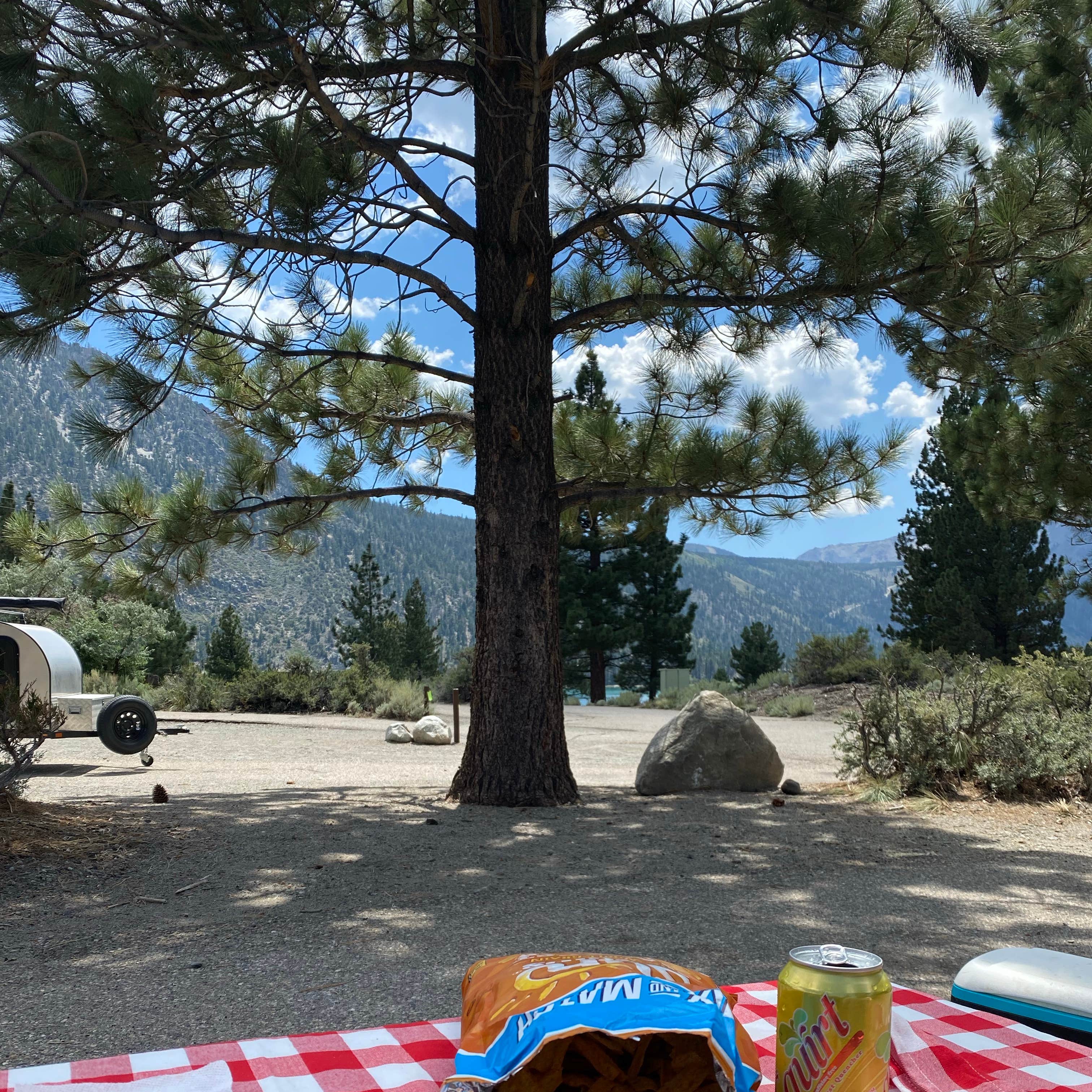 Inyo National Forest Oh Ridge Campground | June Lake, California
