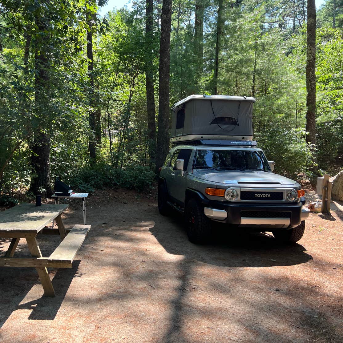 Pinewood Lodge Campground | Carver, Massachusetts