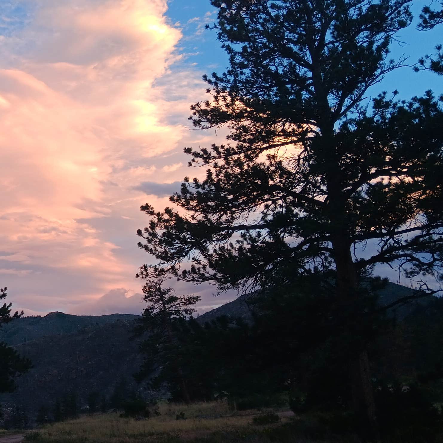 Pingree Road Dispersed Camping | Red Feather Lakes, Colorado
