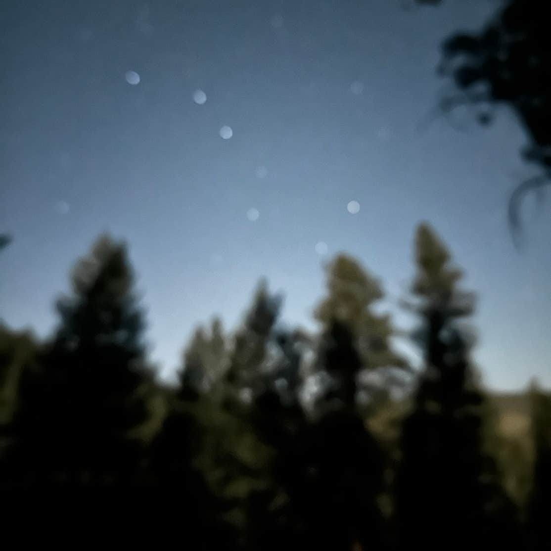 Pingree Road Dispersed Camping | Red Feather Lakes, Colorado
