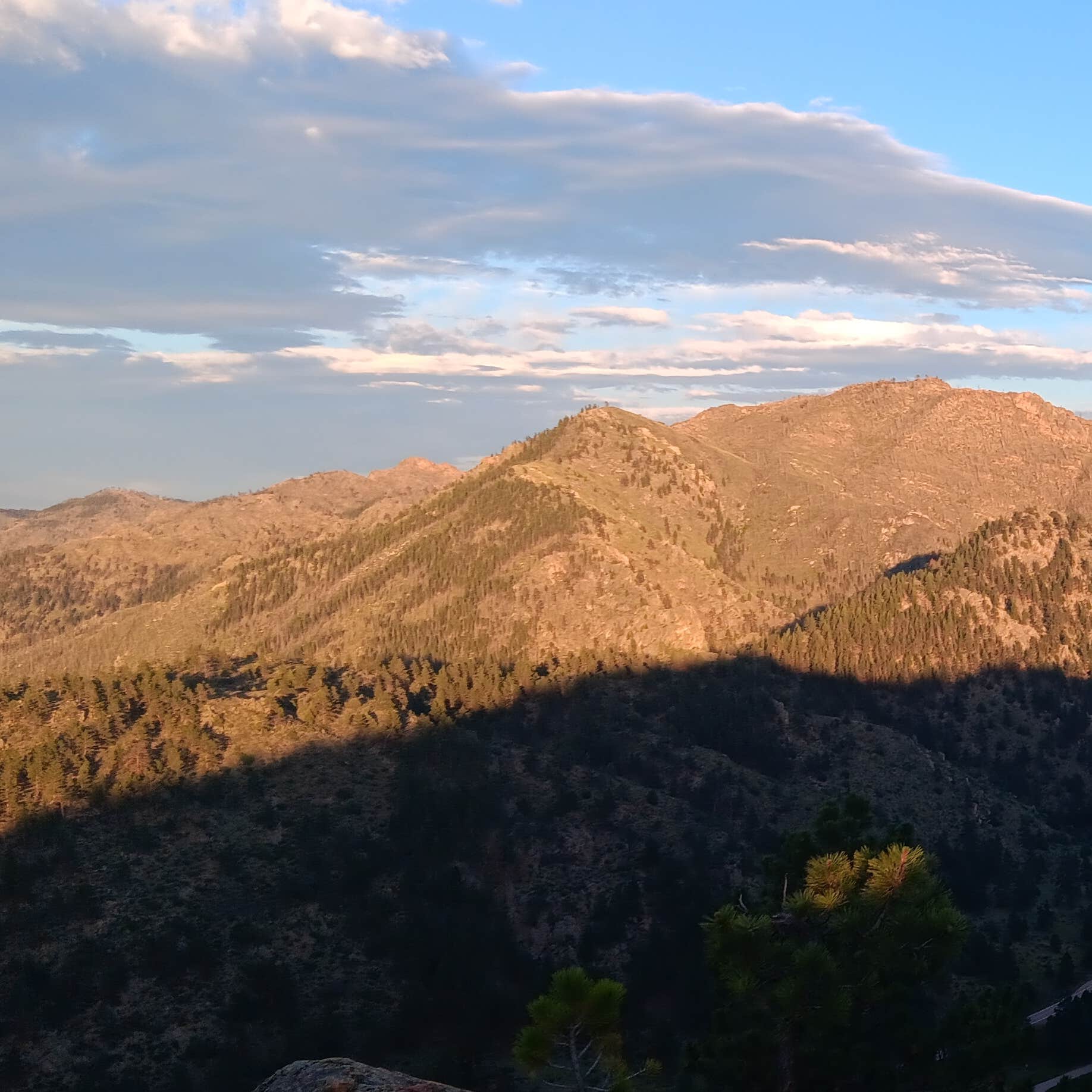 Pingree Road Dispersed Camping | Red Feather Lakes, Colorado