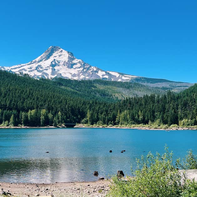 pinnacle Ridge dispersed camping | Government Camp, Oregon