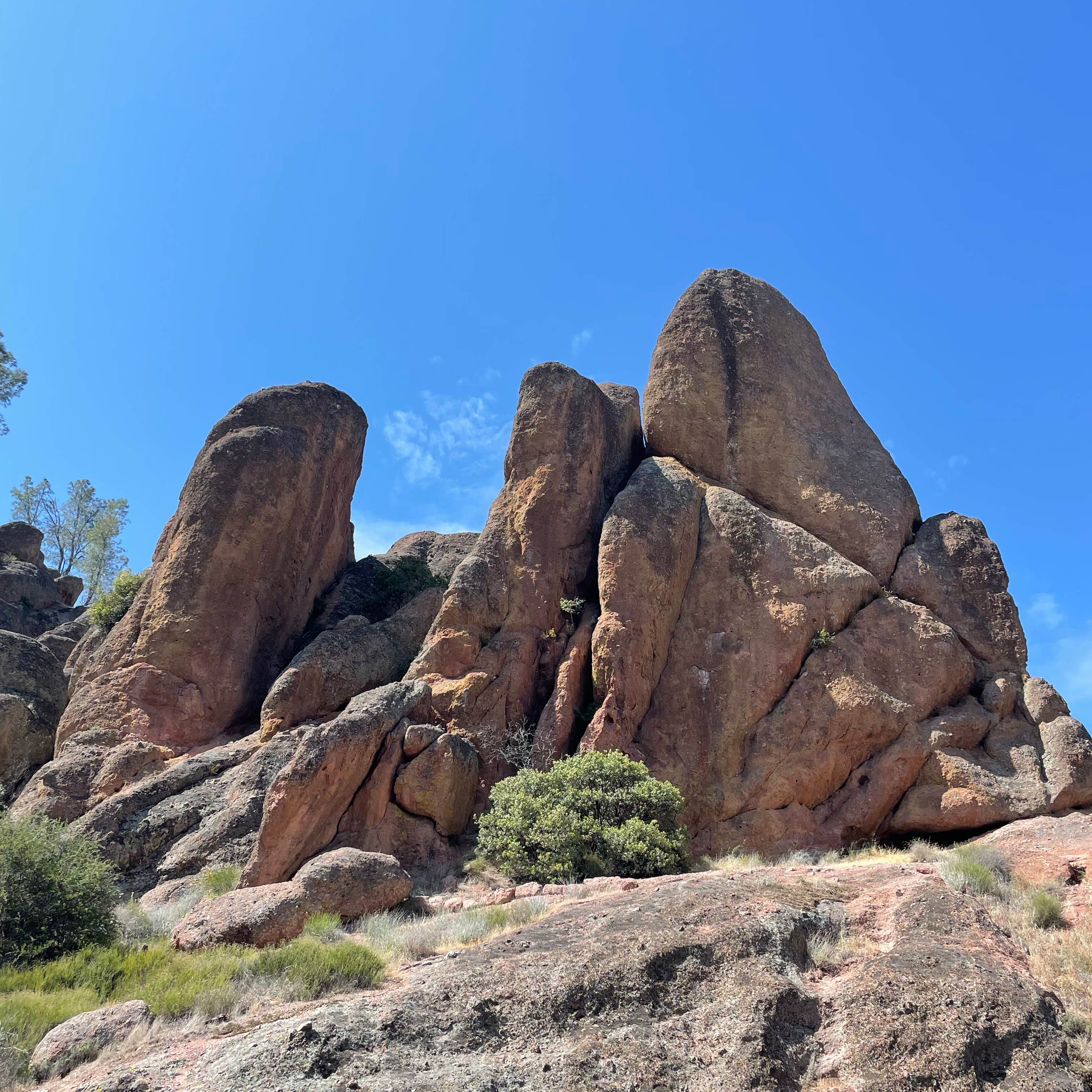 Pinnacles Campground — Pinnacles National Park | Pinnacles, California