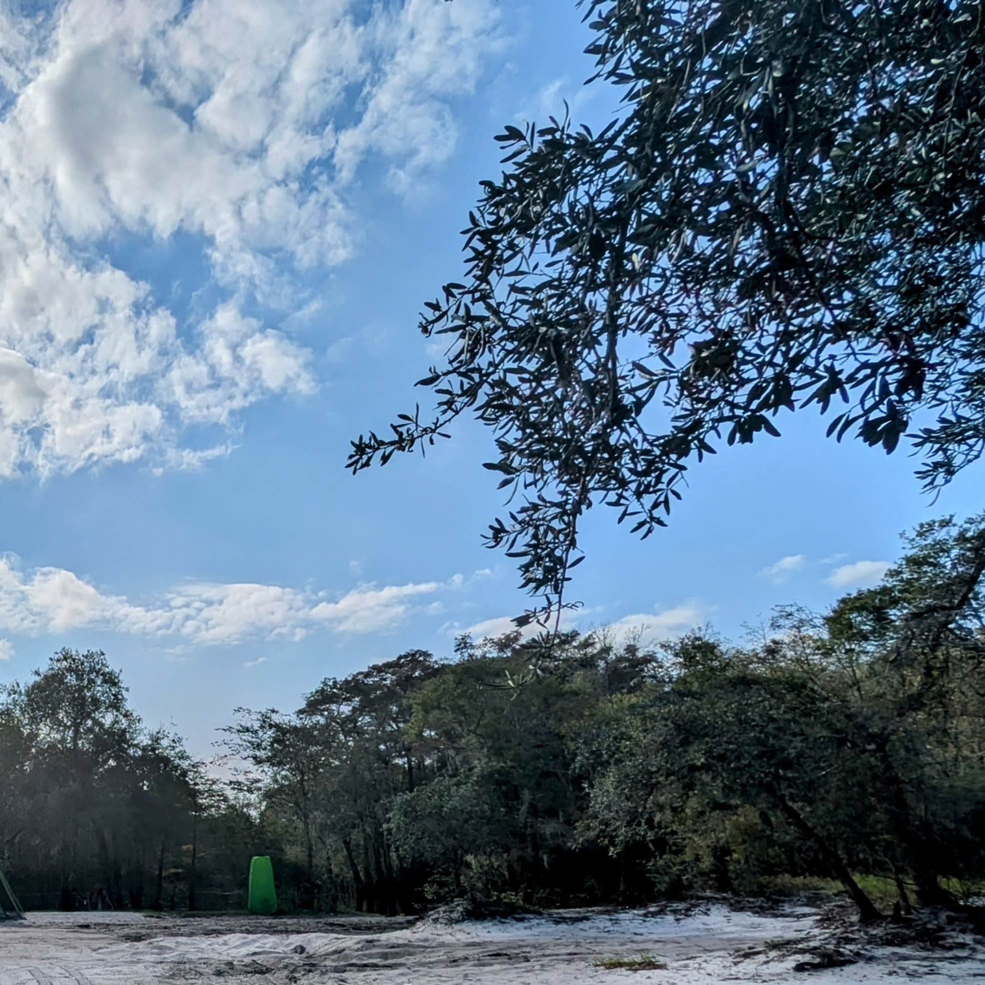 Pitts Landing Dispersed Camping | Conway, South Carolina