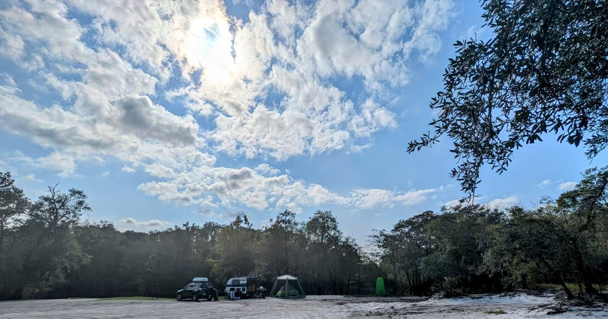Pitts Landing Dispersed Camping | Conway, South Carolina