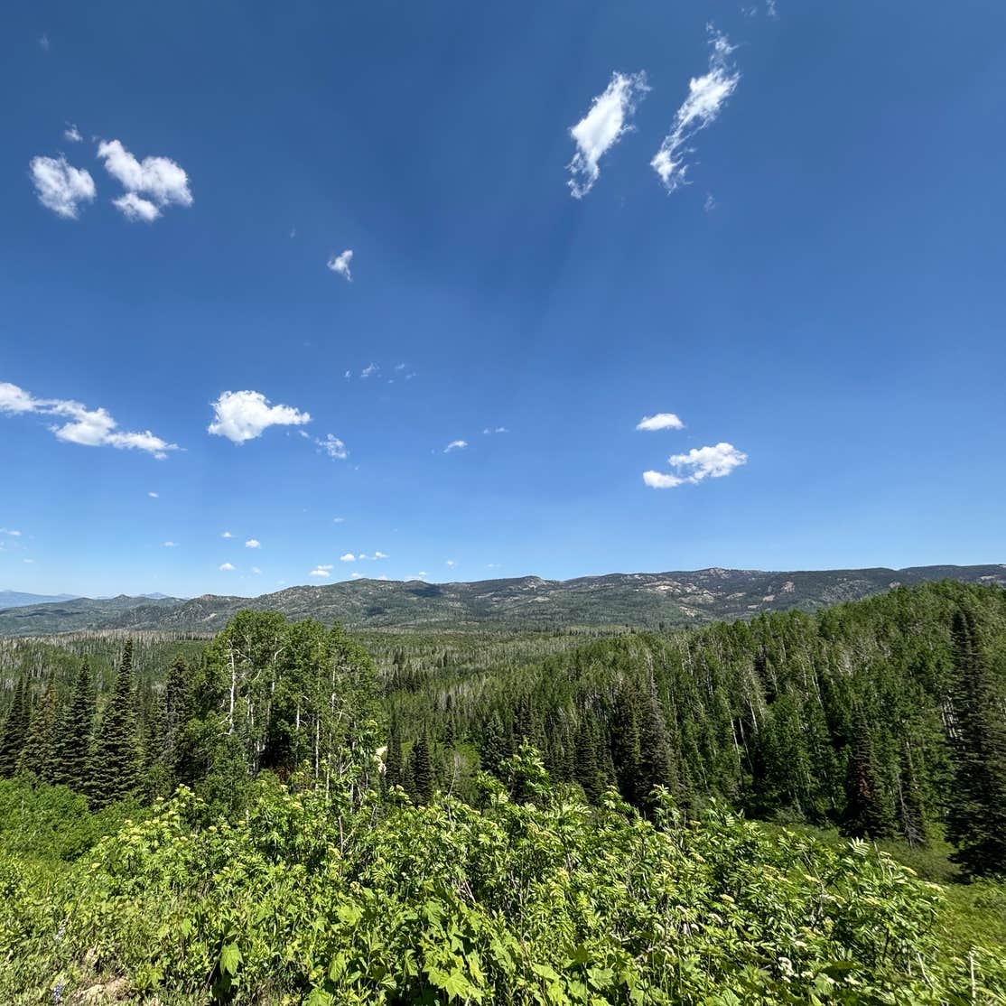 Pleasant Valley Roadside Camp on Hwy 40 | Steamboat Springs, Colorado