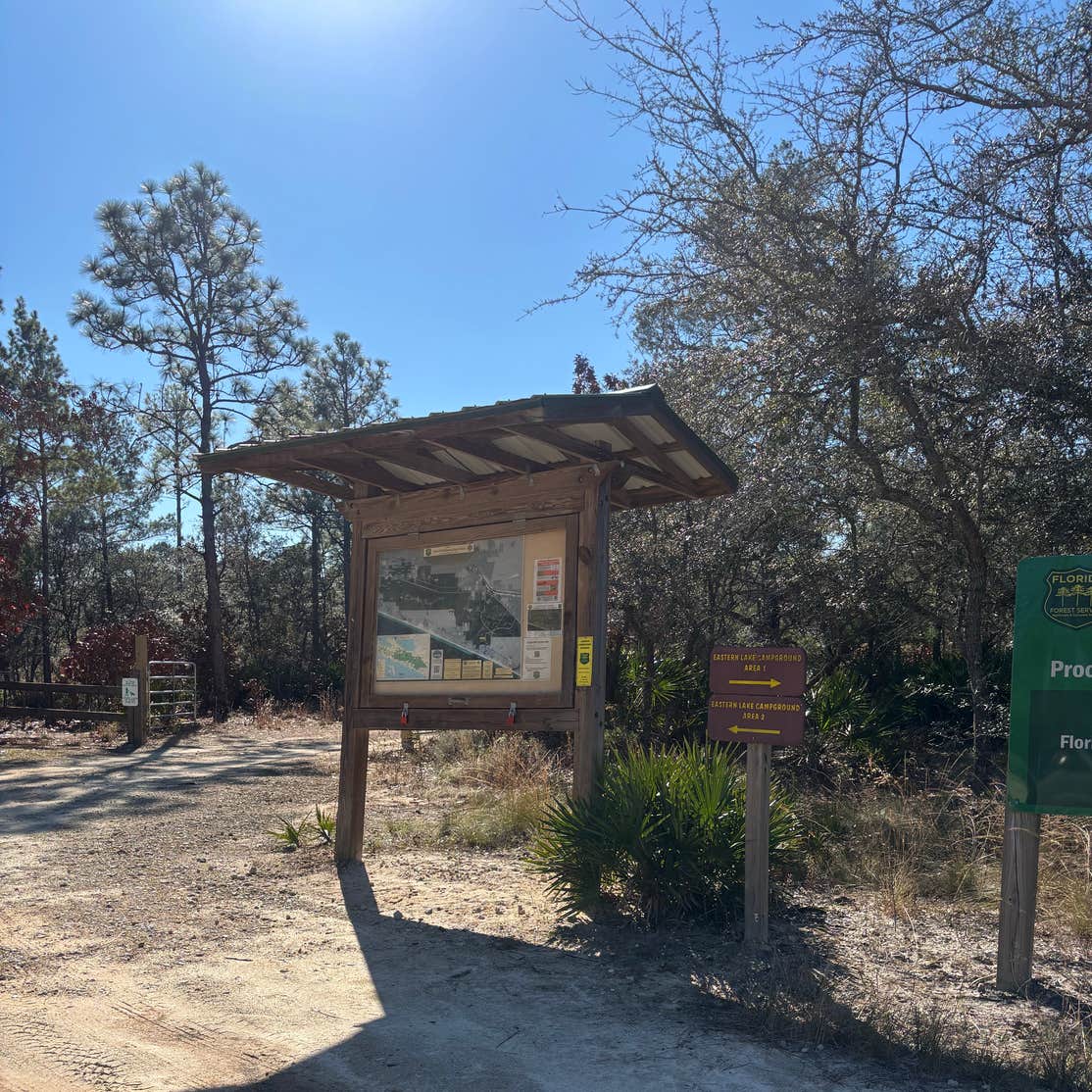 Eastern Lake Campground 1 — Point Washington State Forest | Inlet Beach ...