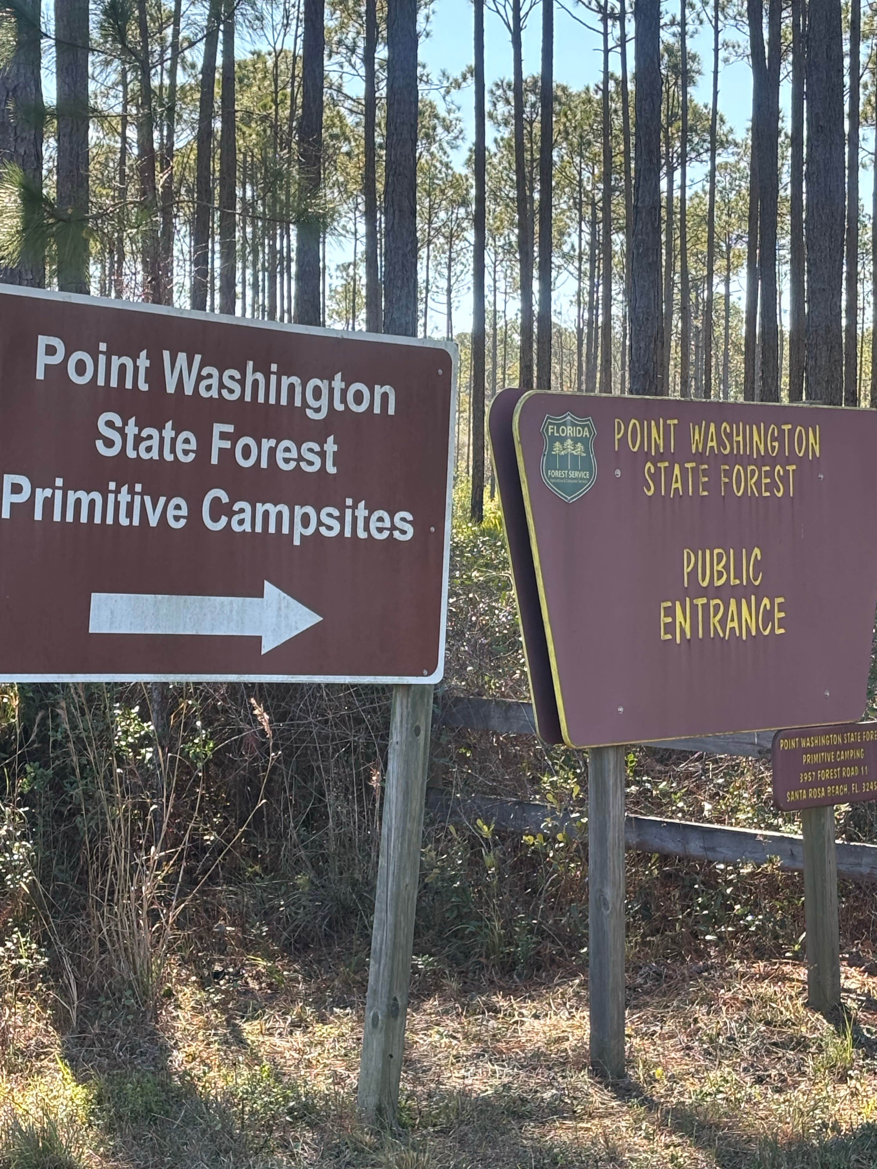 Eastern Lake Campground 1 — Point Washington State Forest | Inlet Beach ...