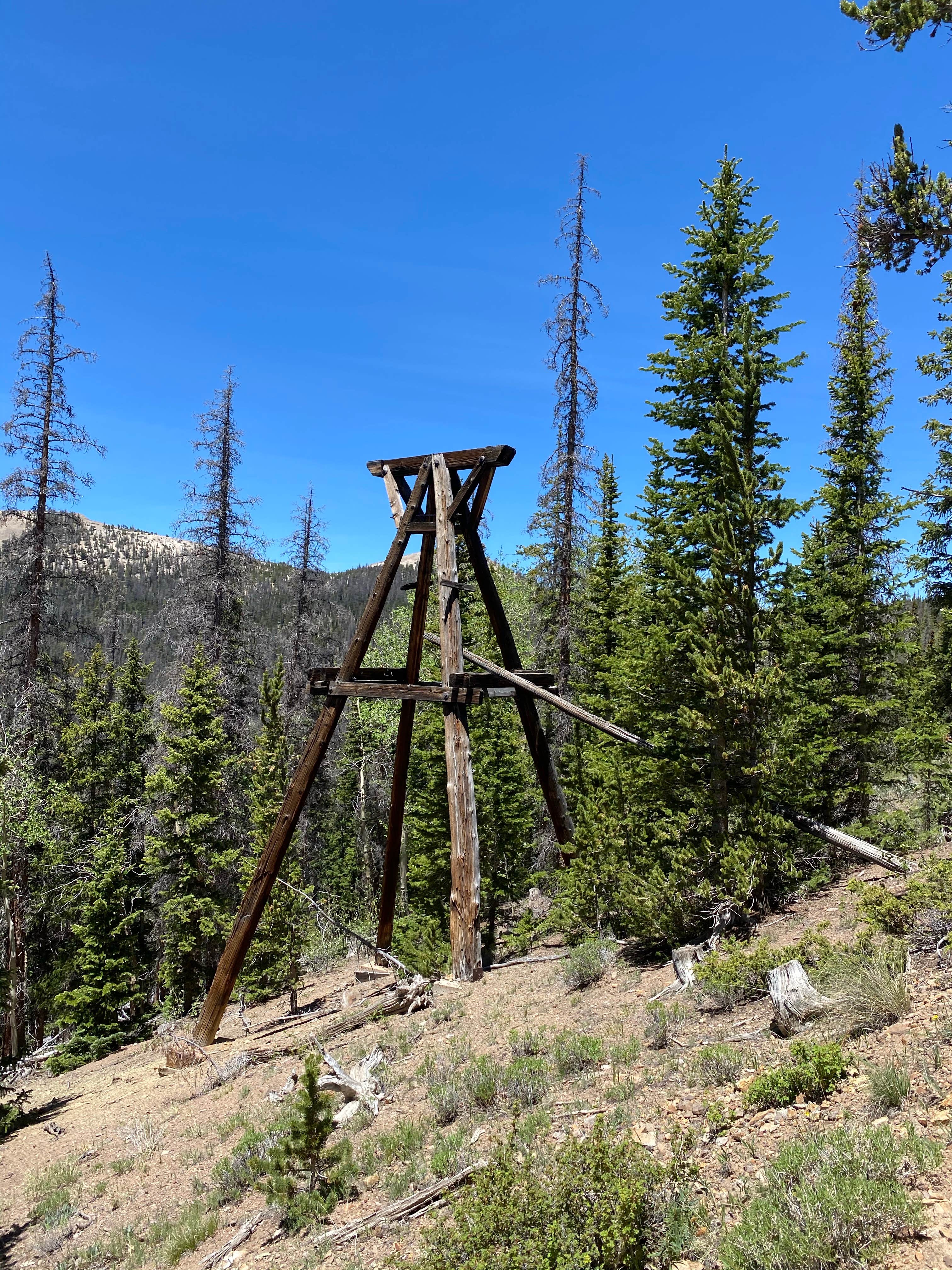 Poncha Pass Dispersed Camping | Poncha Springs, Colorado