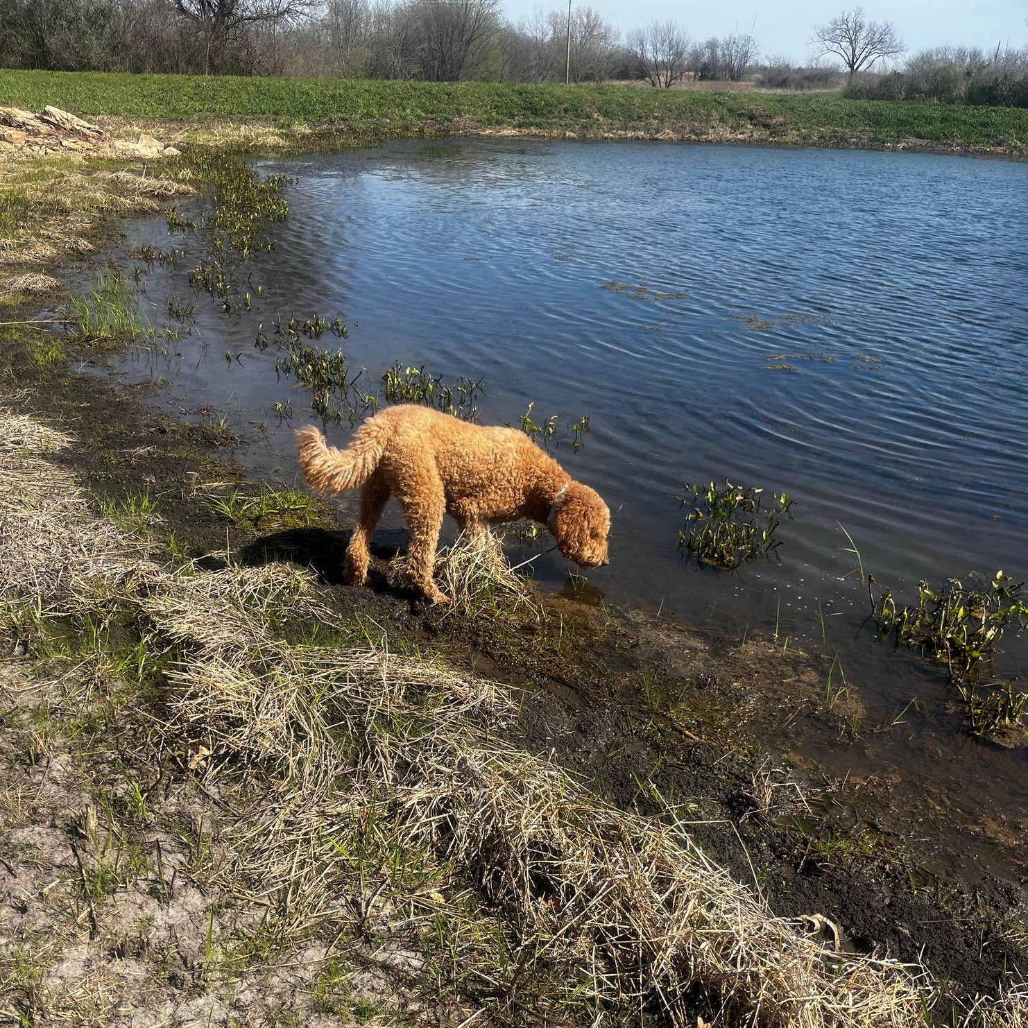 Pony Express Lake Conservation Area Camping | Osborn, MO