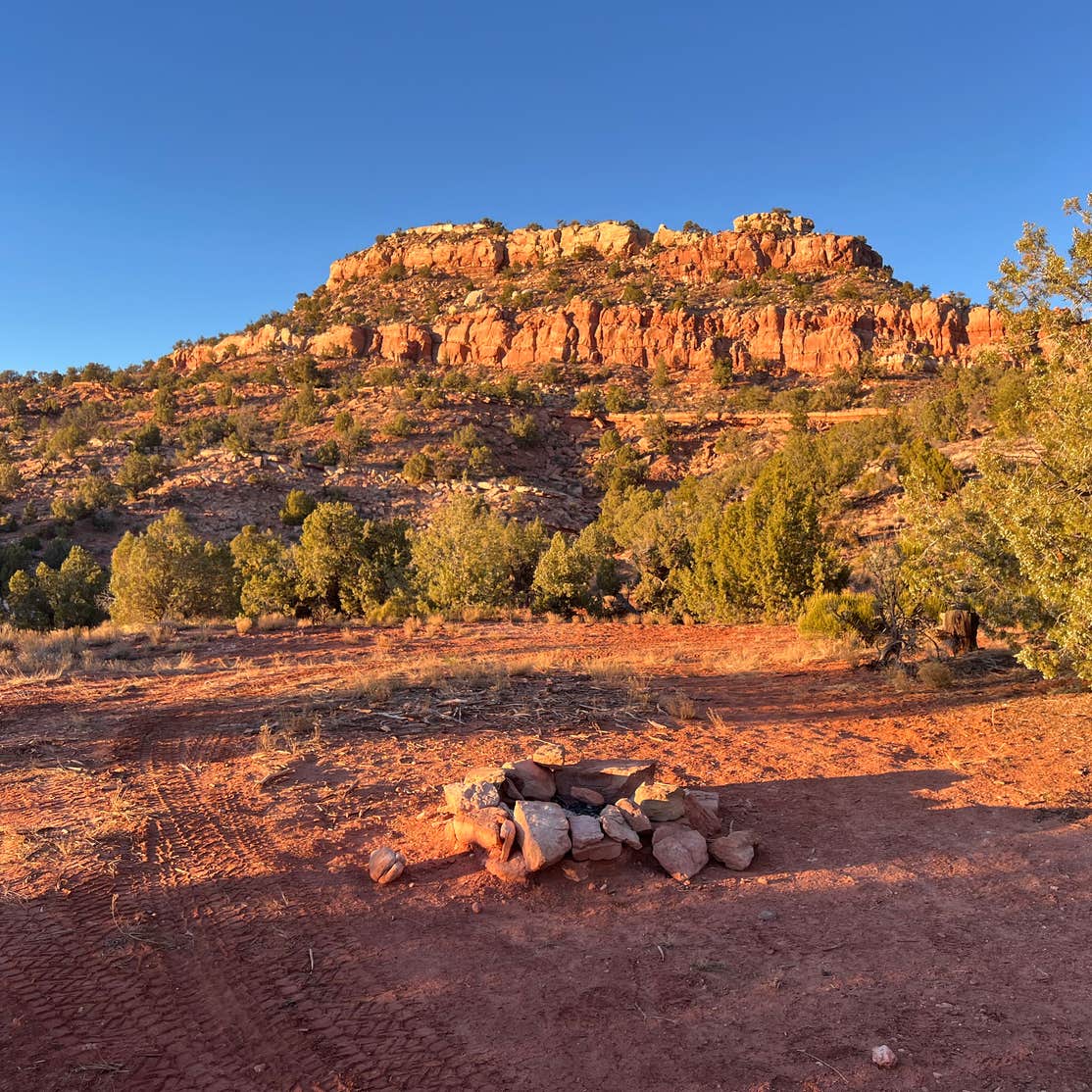 Poseys Trail Road Dispersed Camping | Blanding, Utah