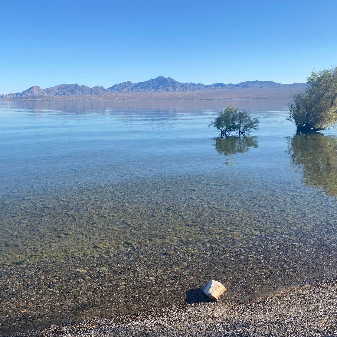 Pot Cove in Lake Mohave Camping | Searchlight, Nevada