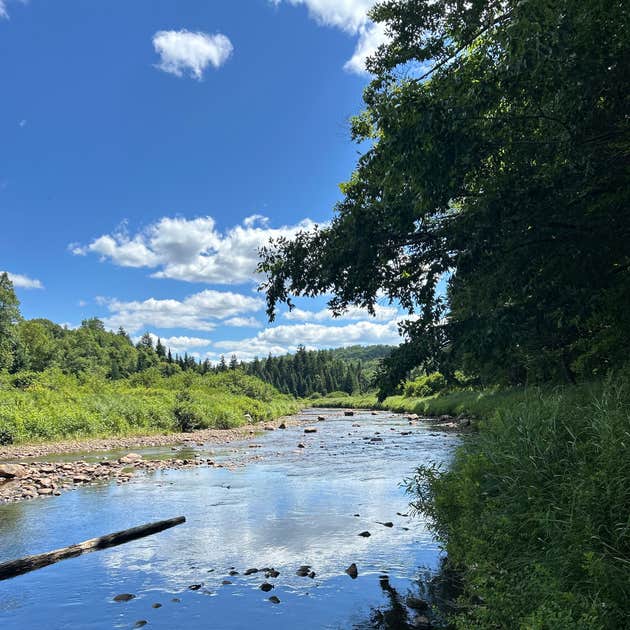 Powley Road in Ferris Wild Forest Camping | Piseco, New York