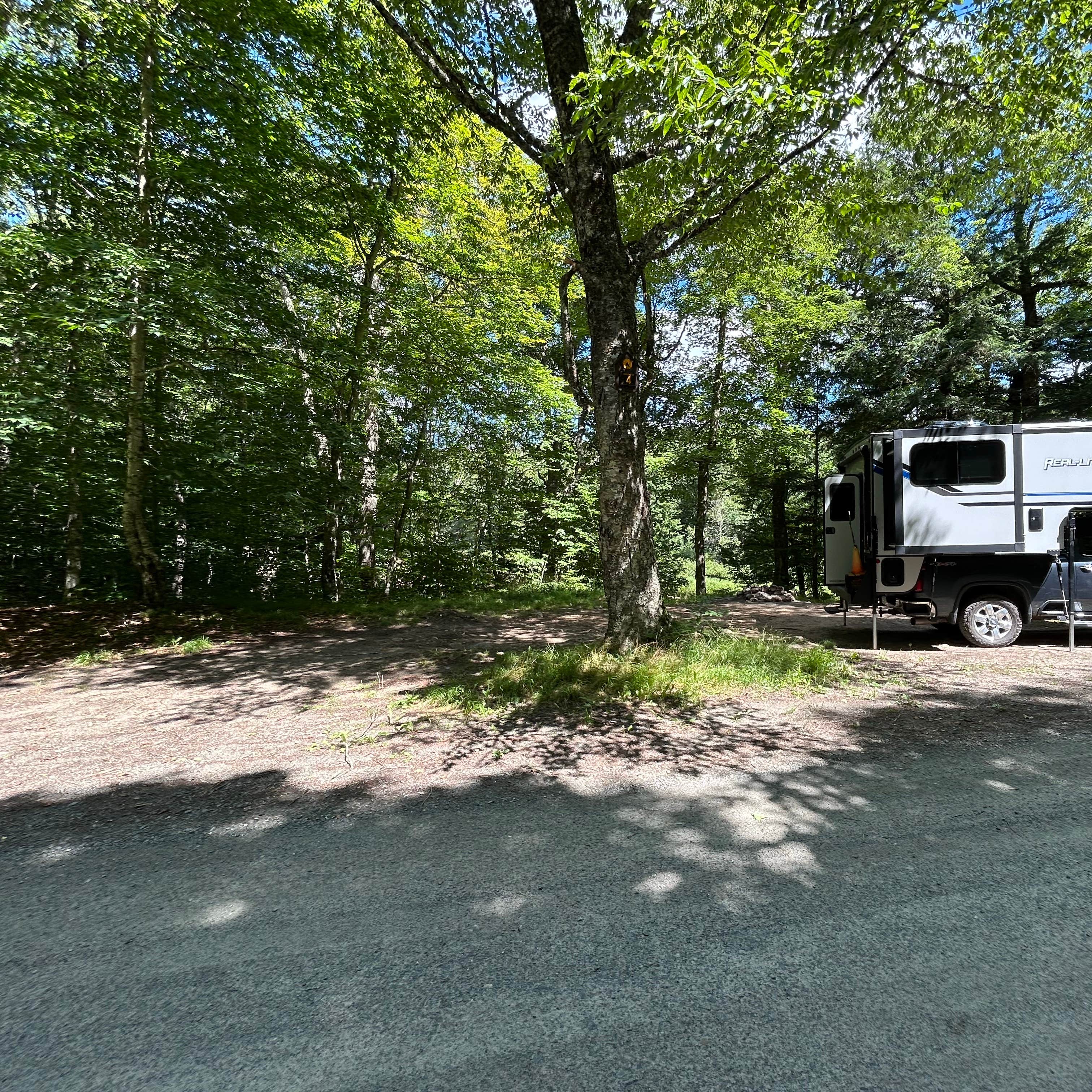 Powley Road in Ferris Wild Forest Camping | Piseco, New York