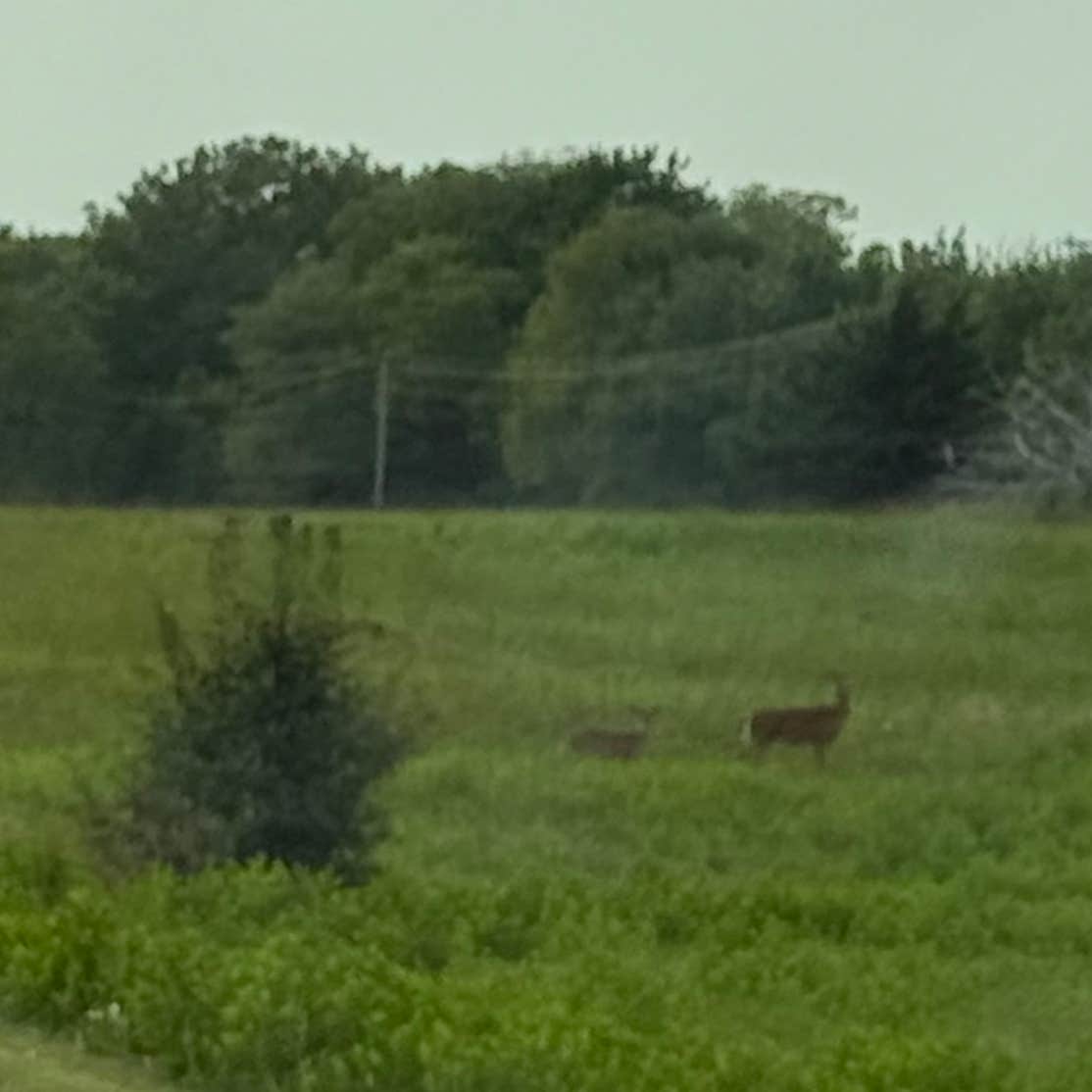 Prairie Clover Campground — Clinton State Park | Lawrence, Kansas