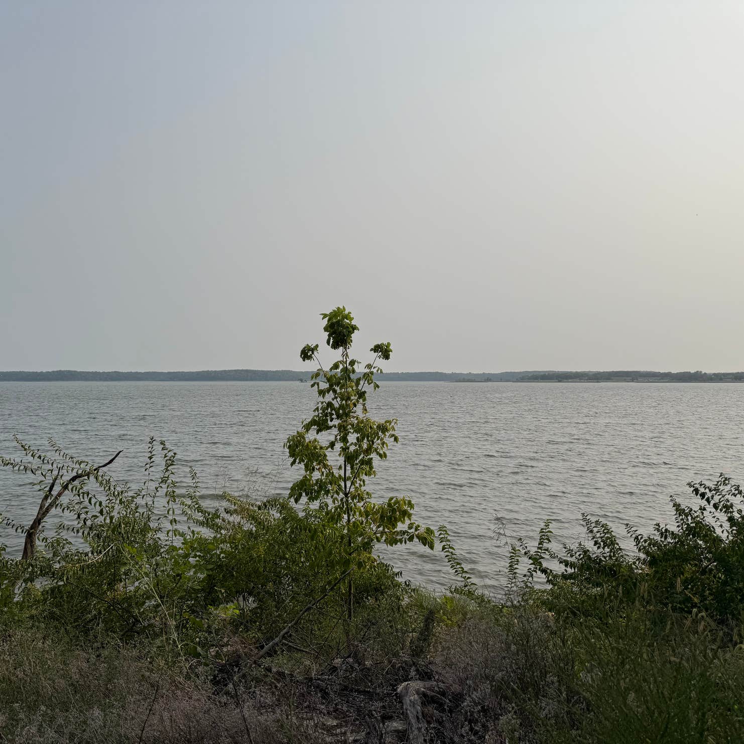 Prairie Clover Campground — Clinton State Park | Lawrence, Kansas