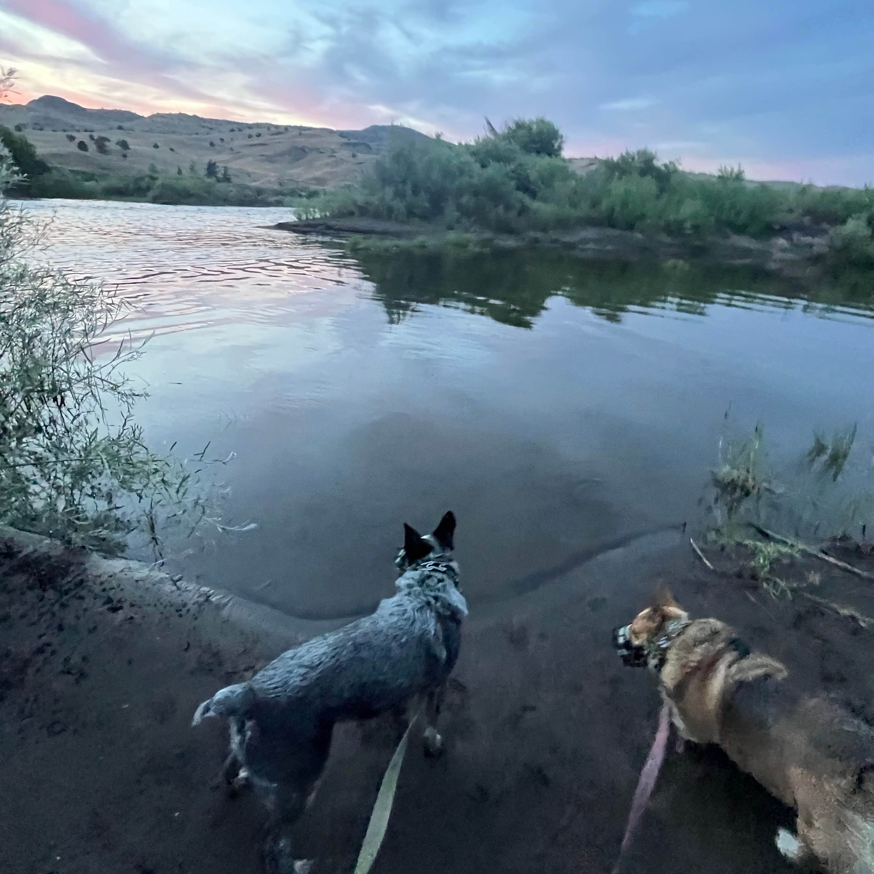 BLM John Day River - Priest Hole Camping | Mitchell, Oregon